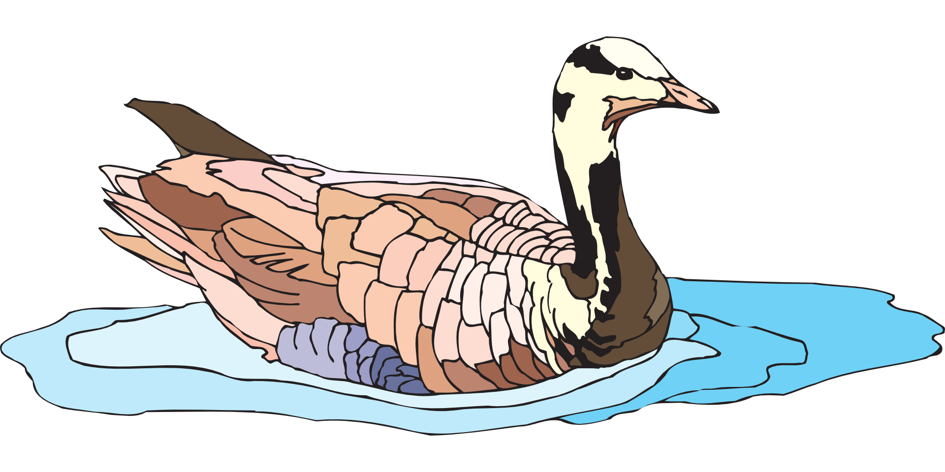 Goose drawing on the water free image download