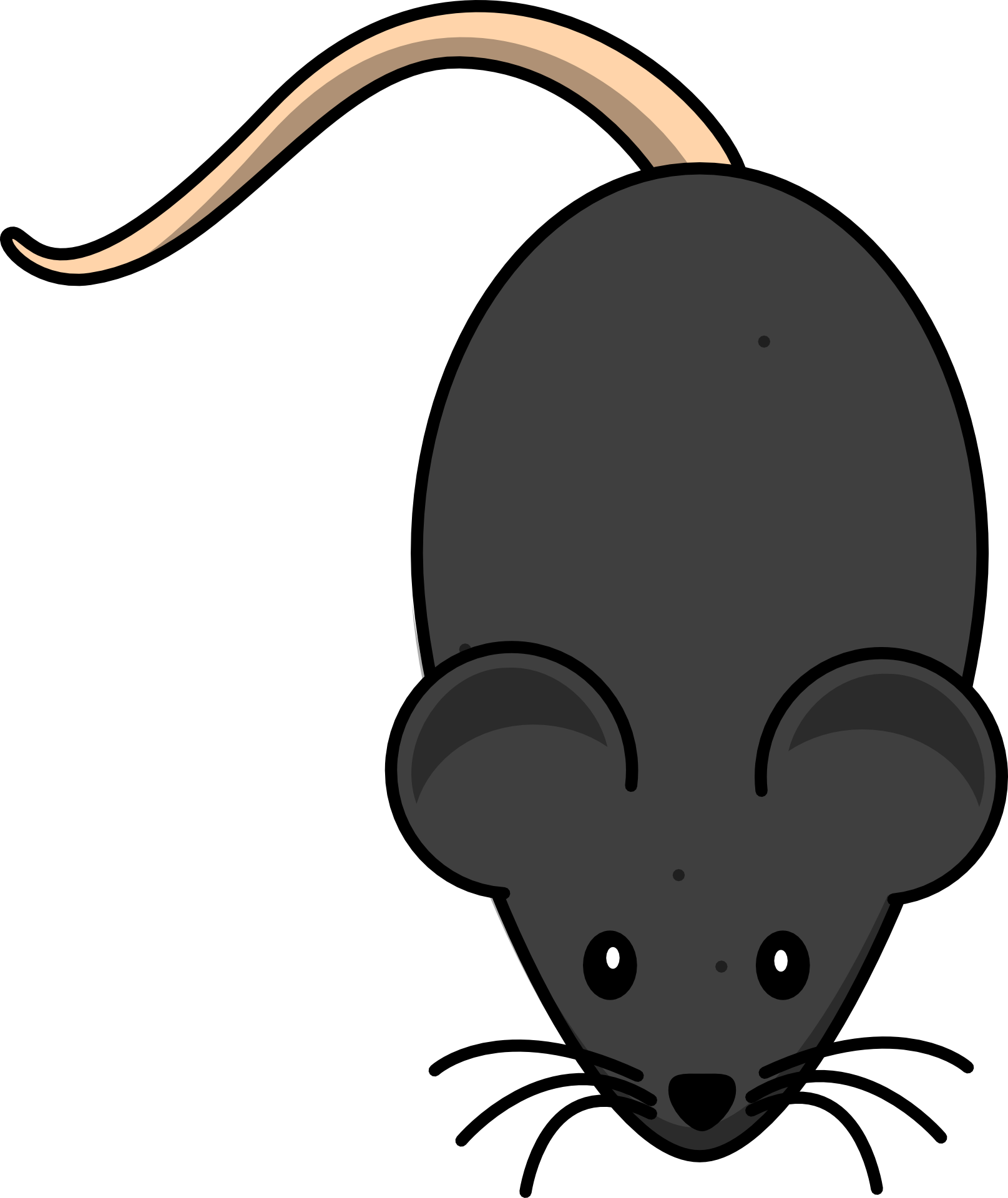 Black Rat Rodent vectoe drawing free image download