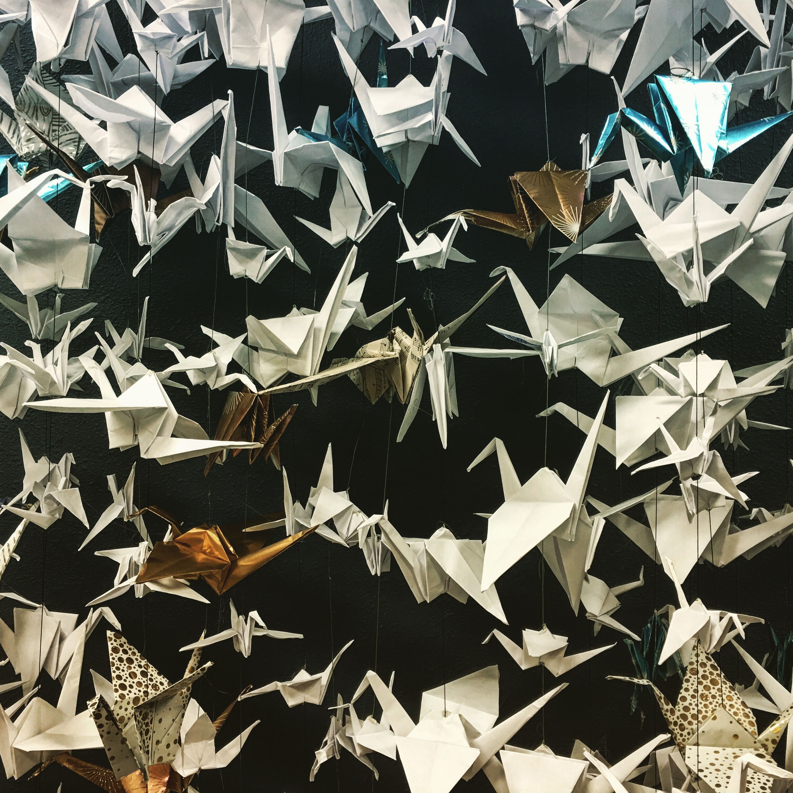 Handmade Peace Cranes free image download
