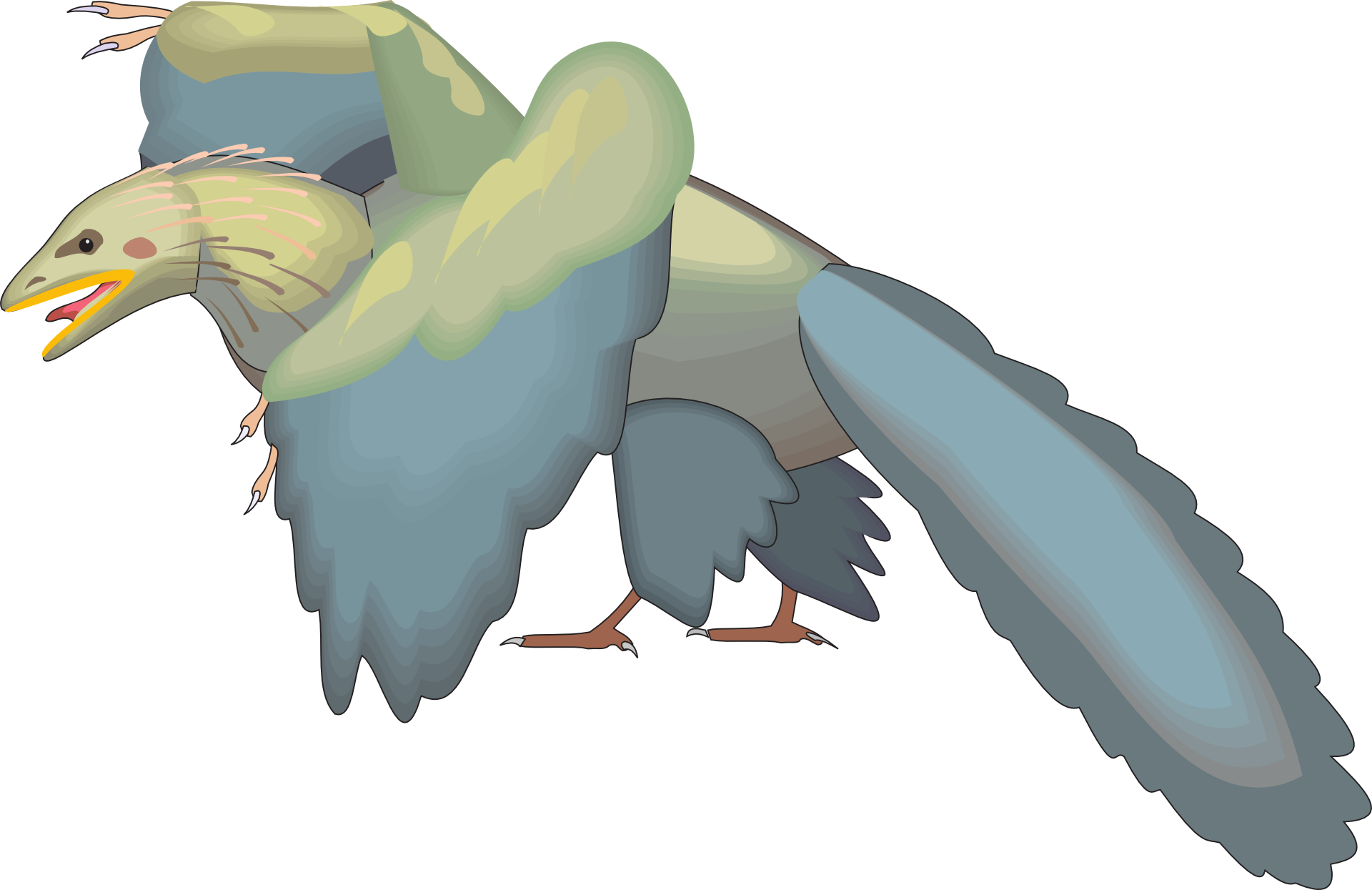 Pterosaur, Bird with Wings drawing free image download