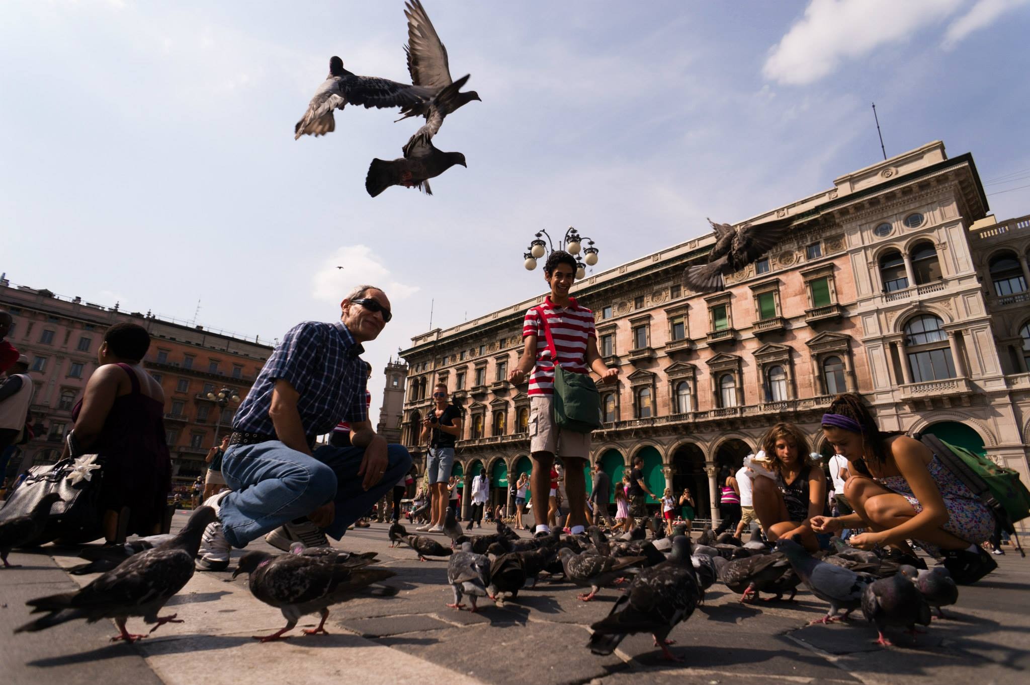 Milan Birds free image download