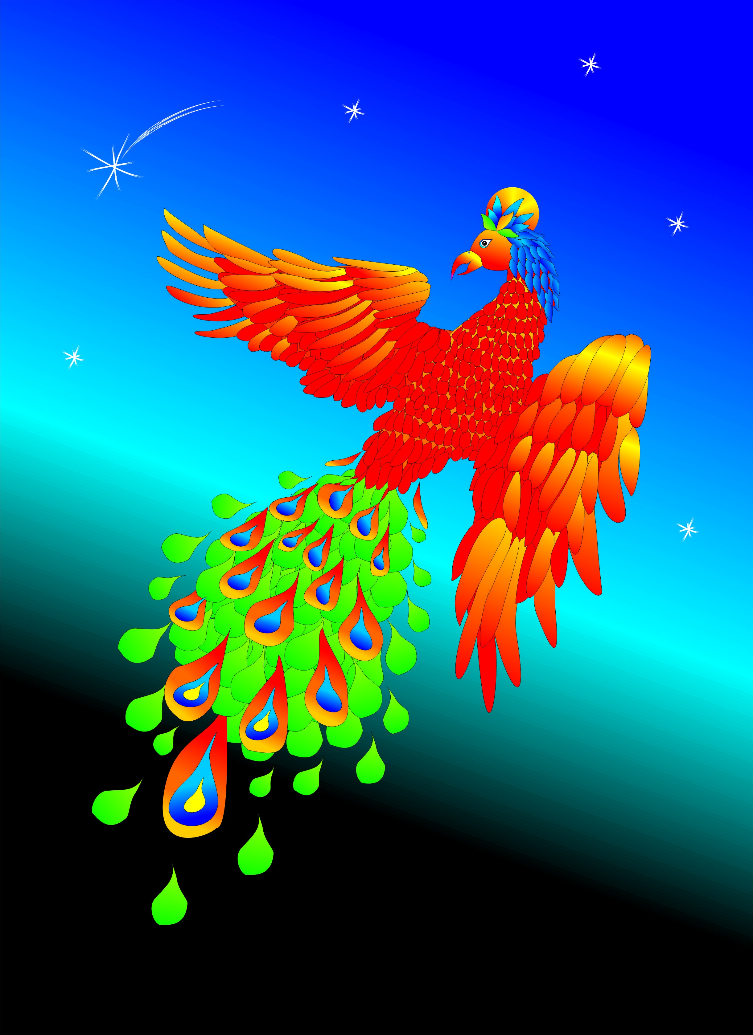Graphic image of a colorful firebird in the starry sky free image download