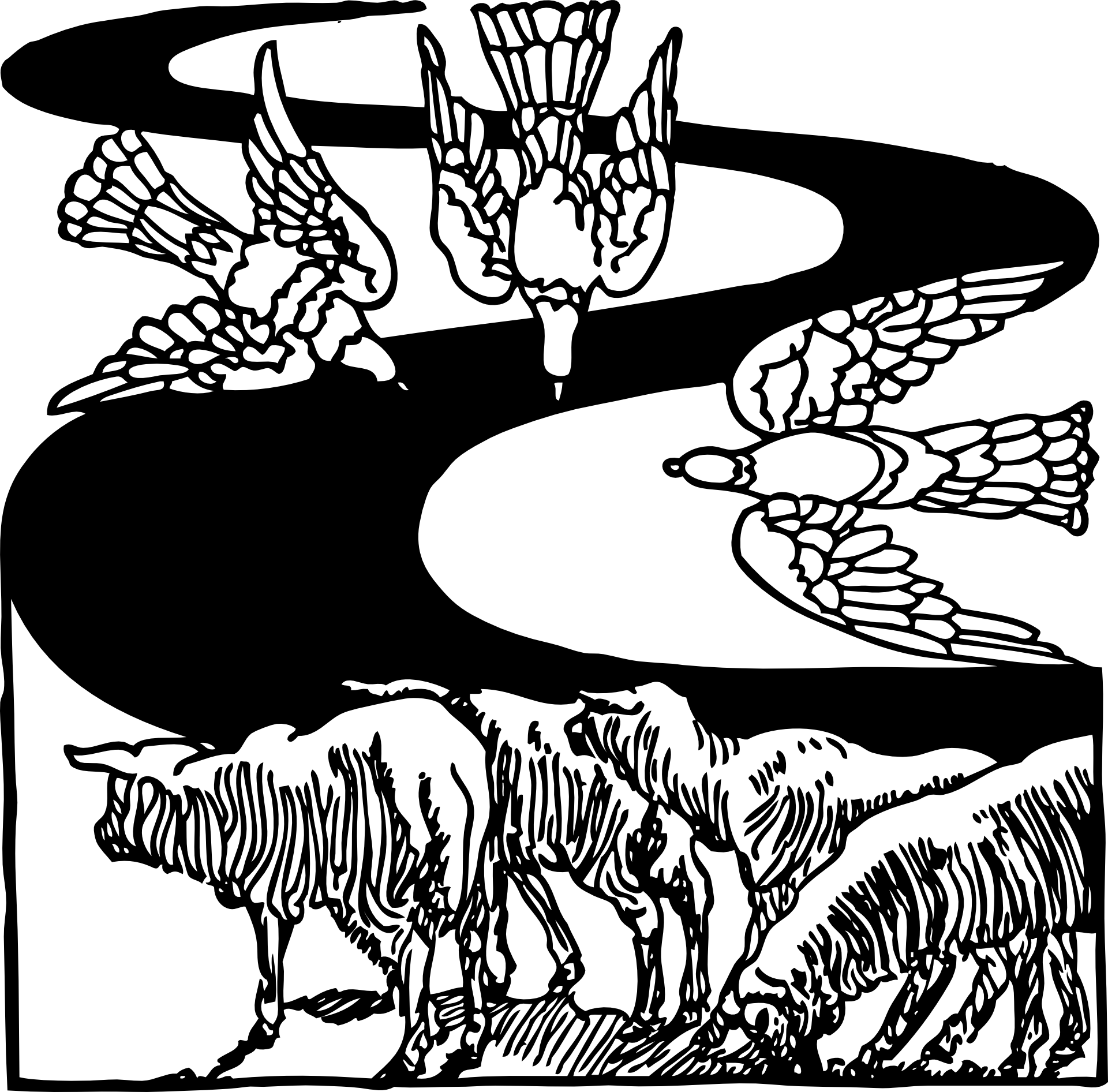 Black and white drawing of birds and sheep free image download