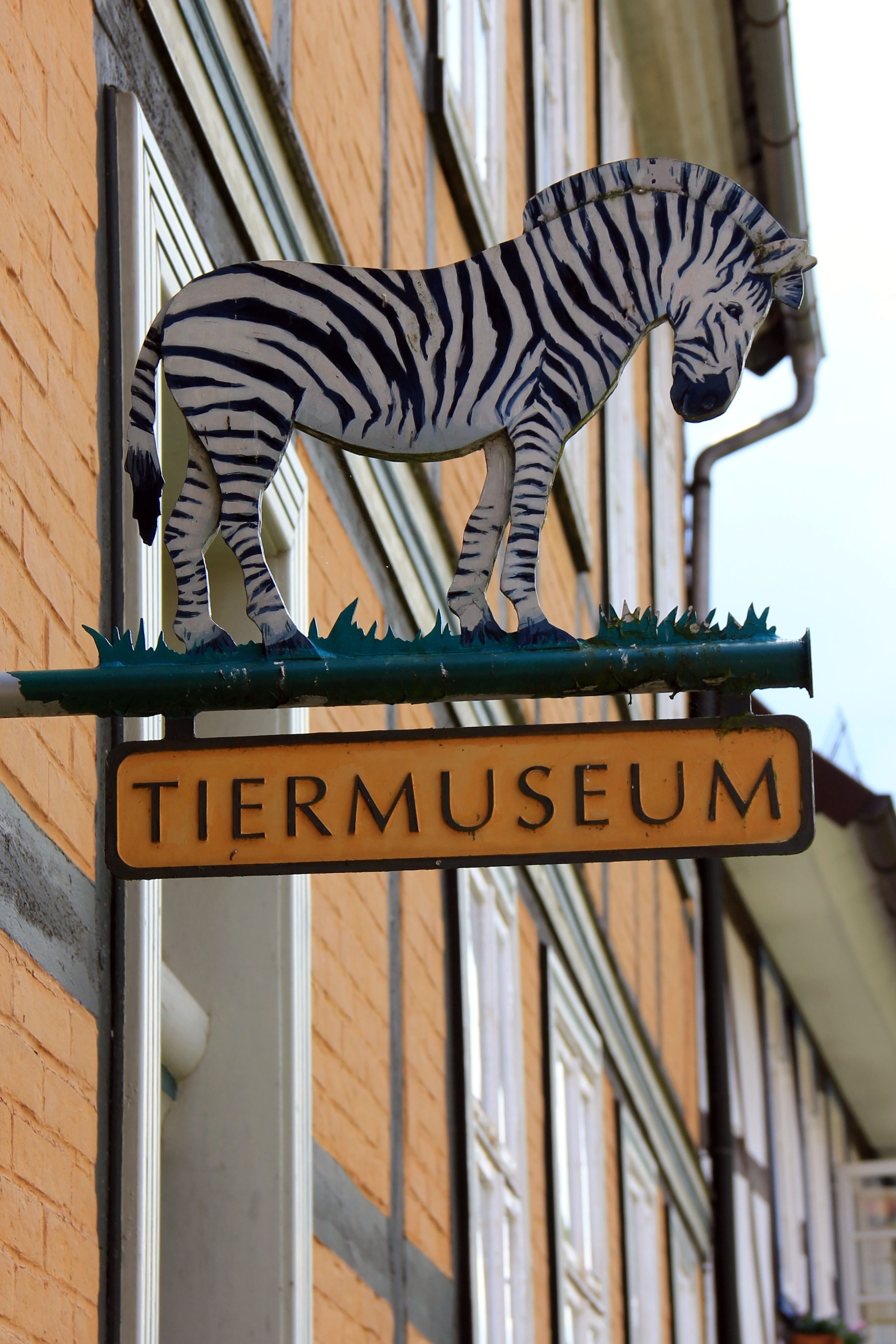 Zebra Shield at Museum entry free image download