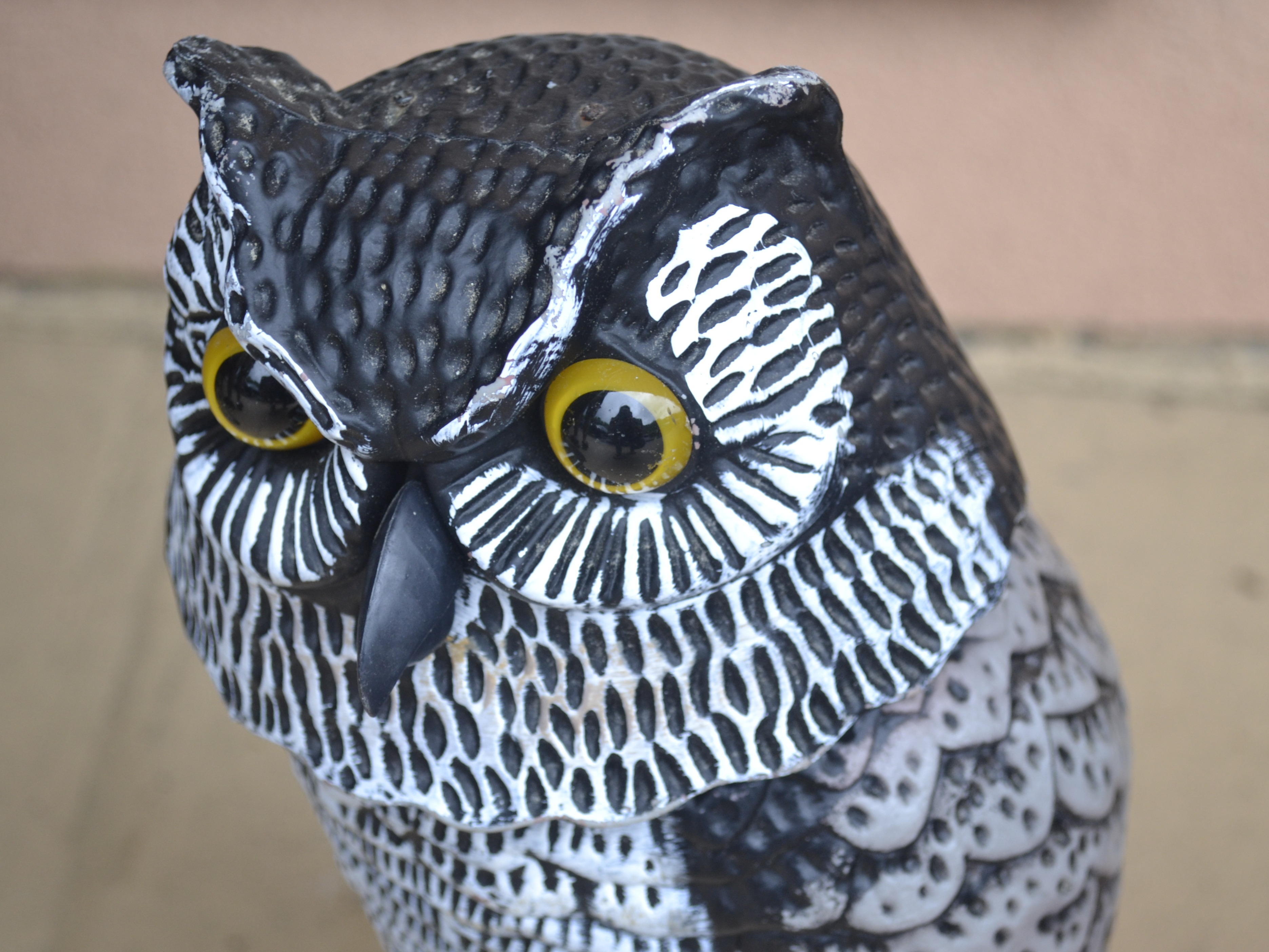 Owl Plastic Statue free image download