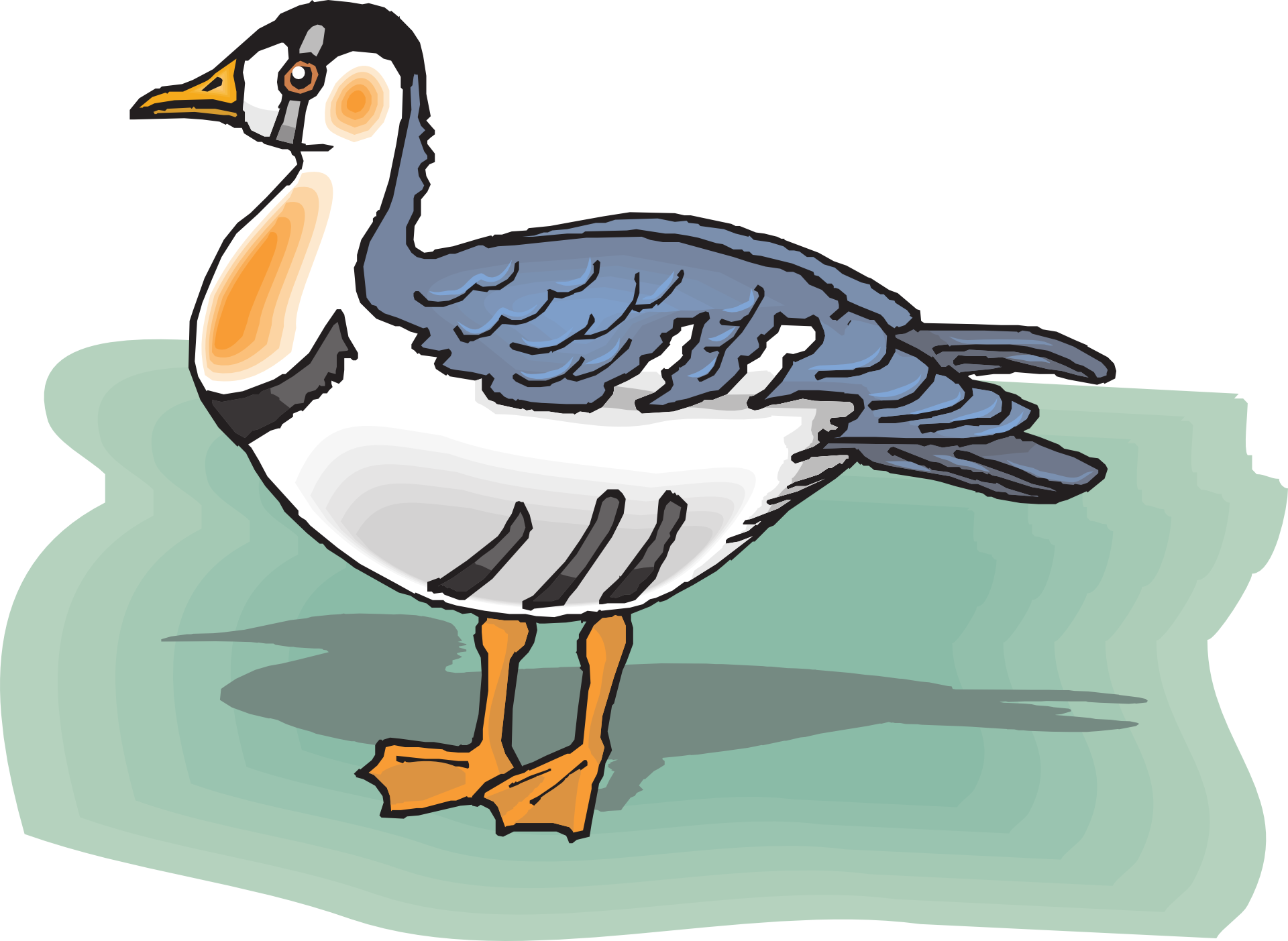 Drawing of duck with shadow on green grass free image download