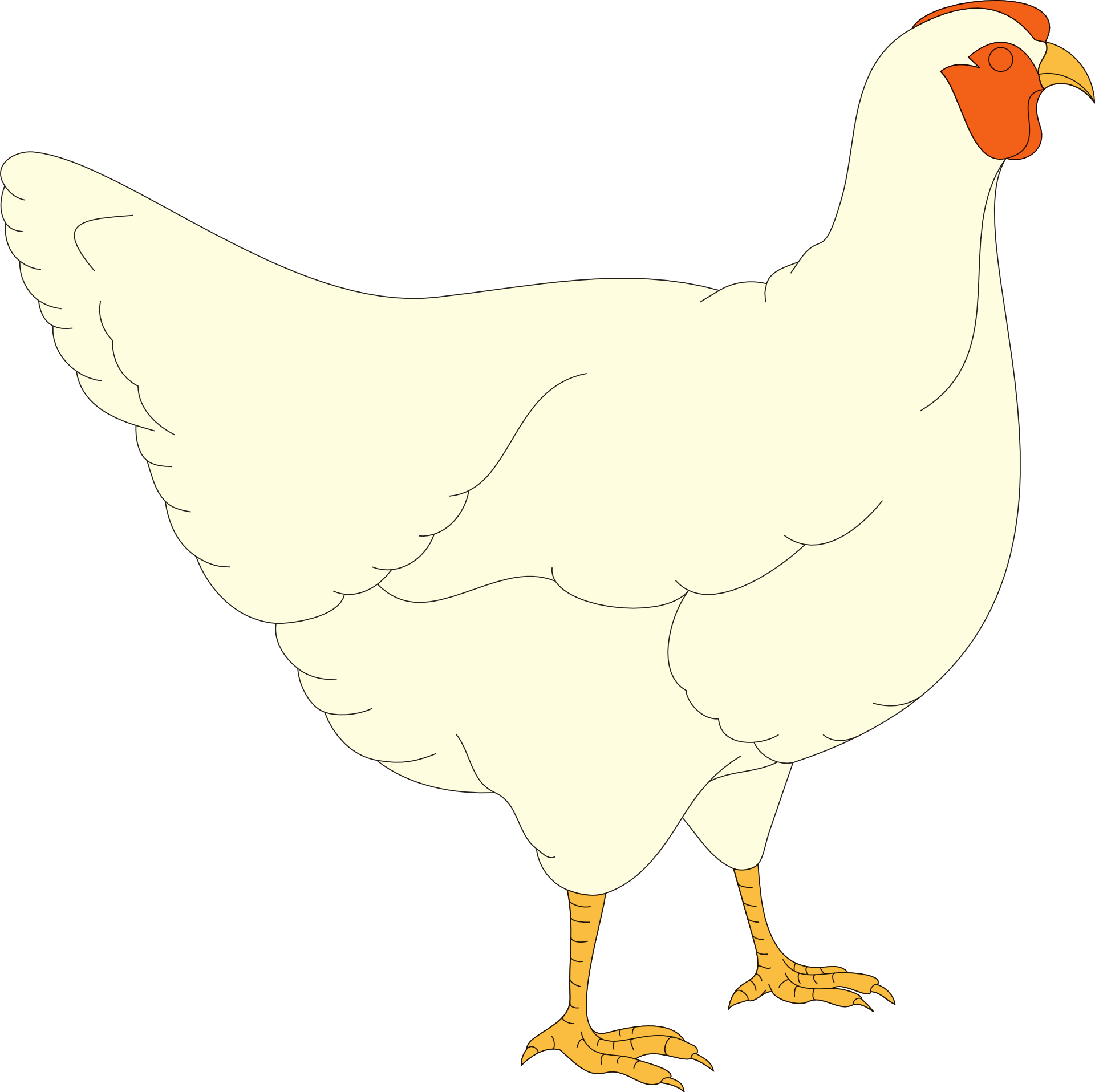 Hen drawing free image download