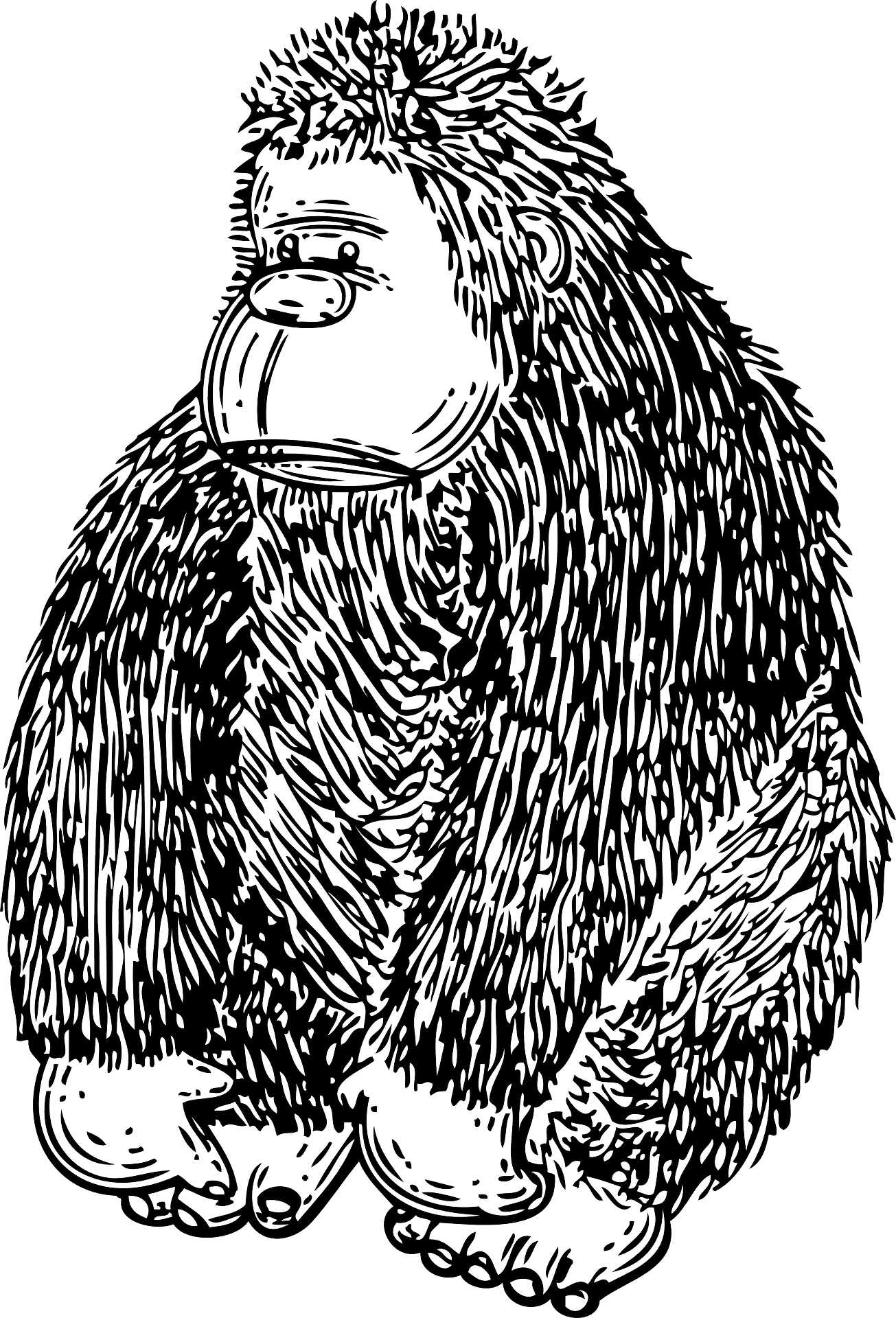 Drawing Of Gorilla Free Image Download