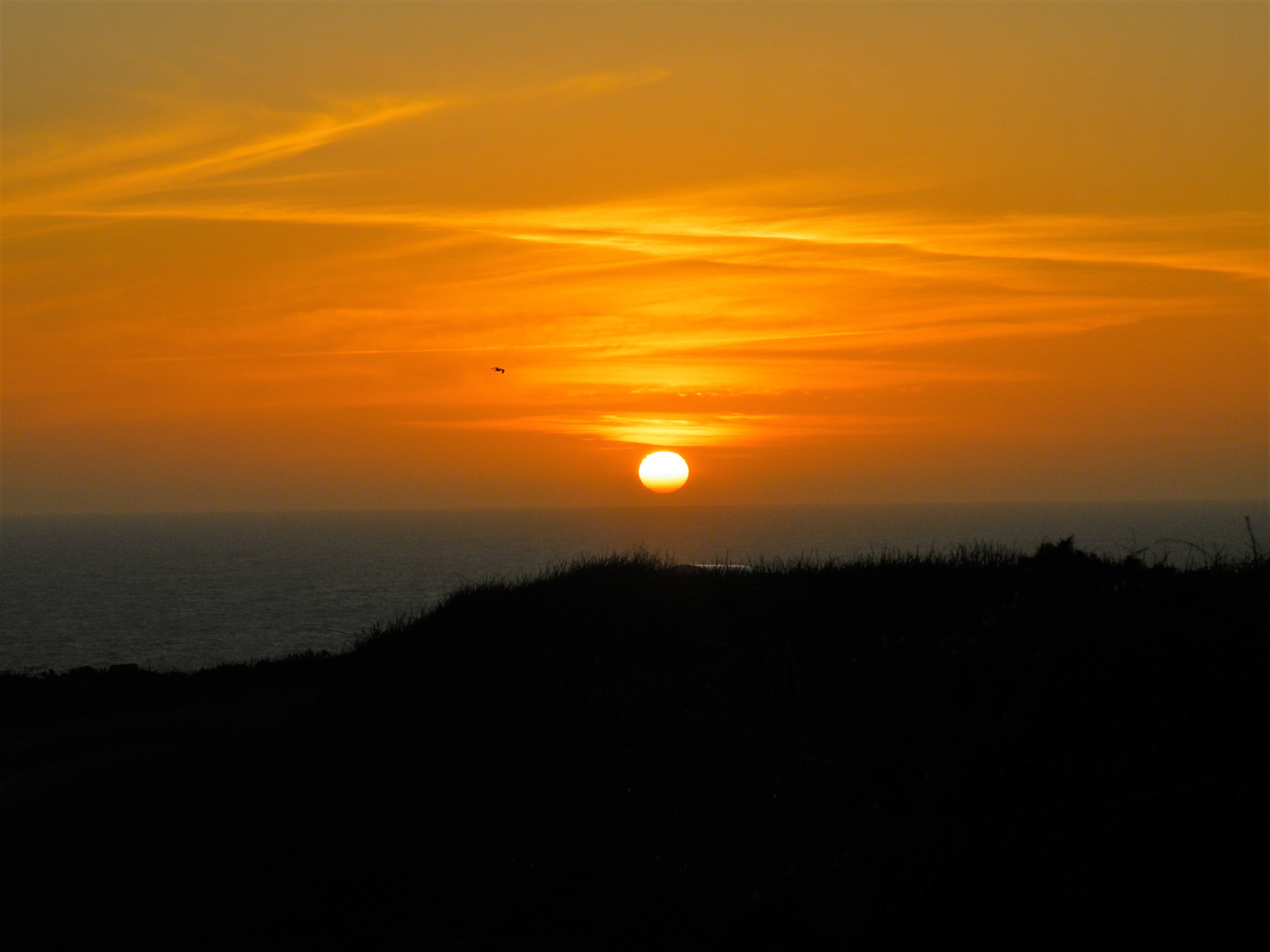 Sunset in Cornwall free image download