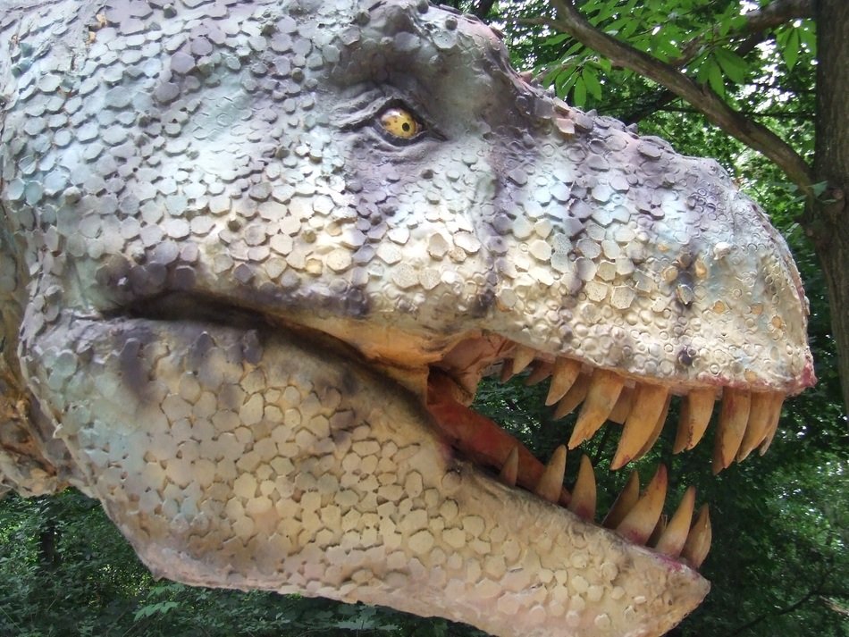 Profile portrait of a dinosaur free image download