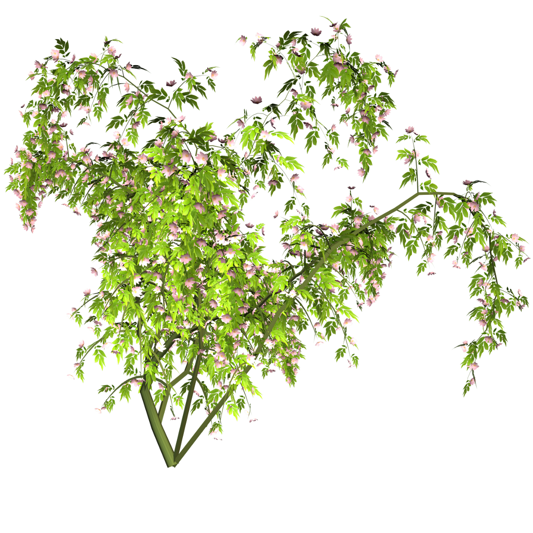 Amen drawing free image download