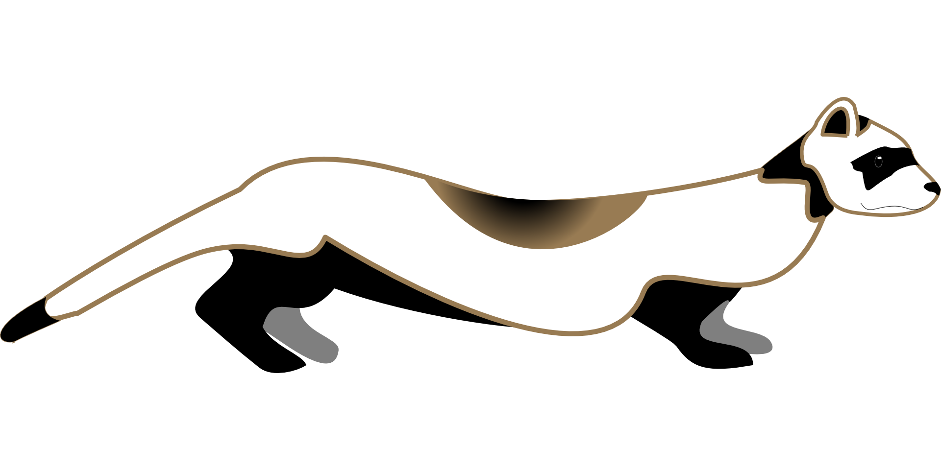 Polecat Brown White Body drawing free image download