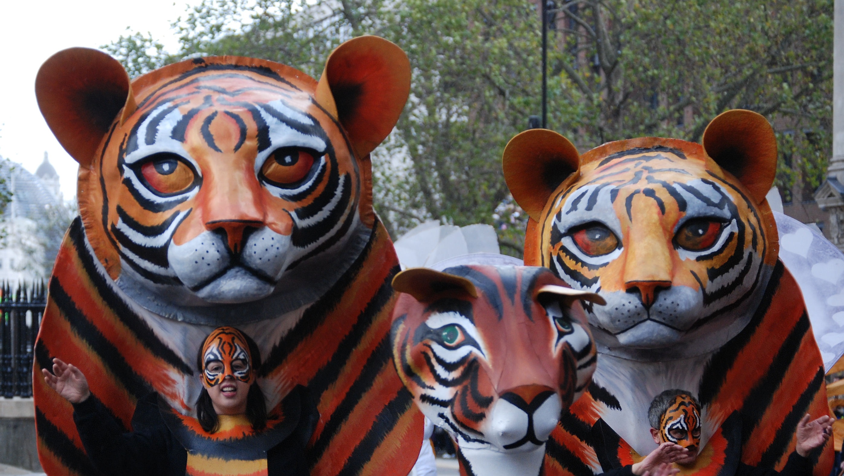 Tiger Mask Costume at carnival free image download