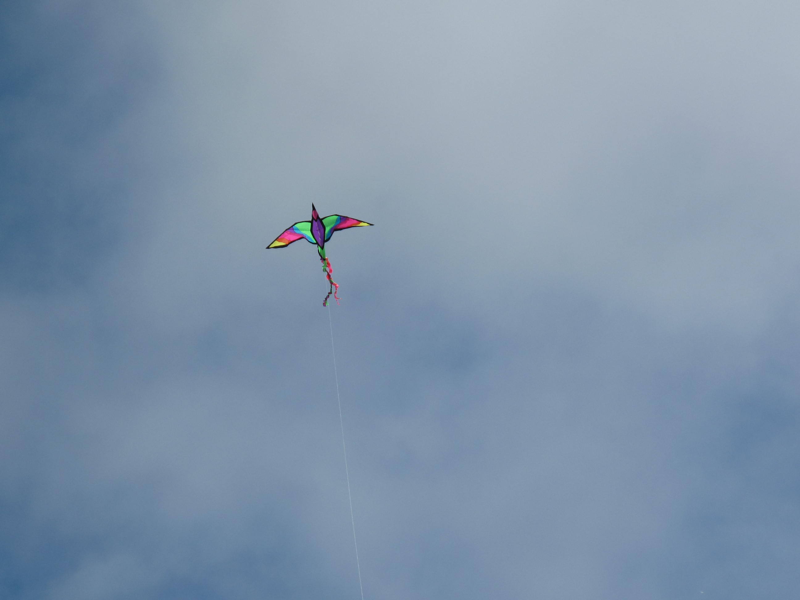 Color kite in clear sky free image download