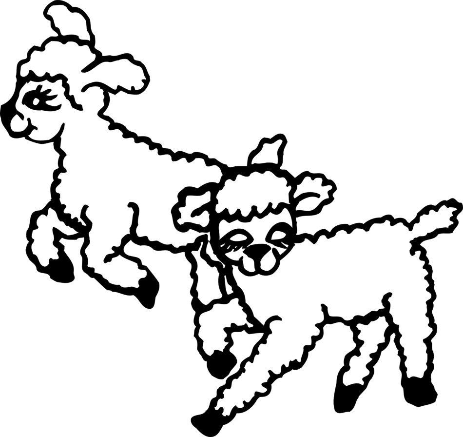 Drawing of jumping lambs free image download