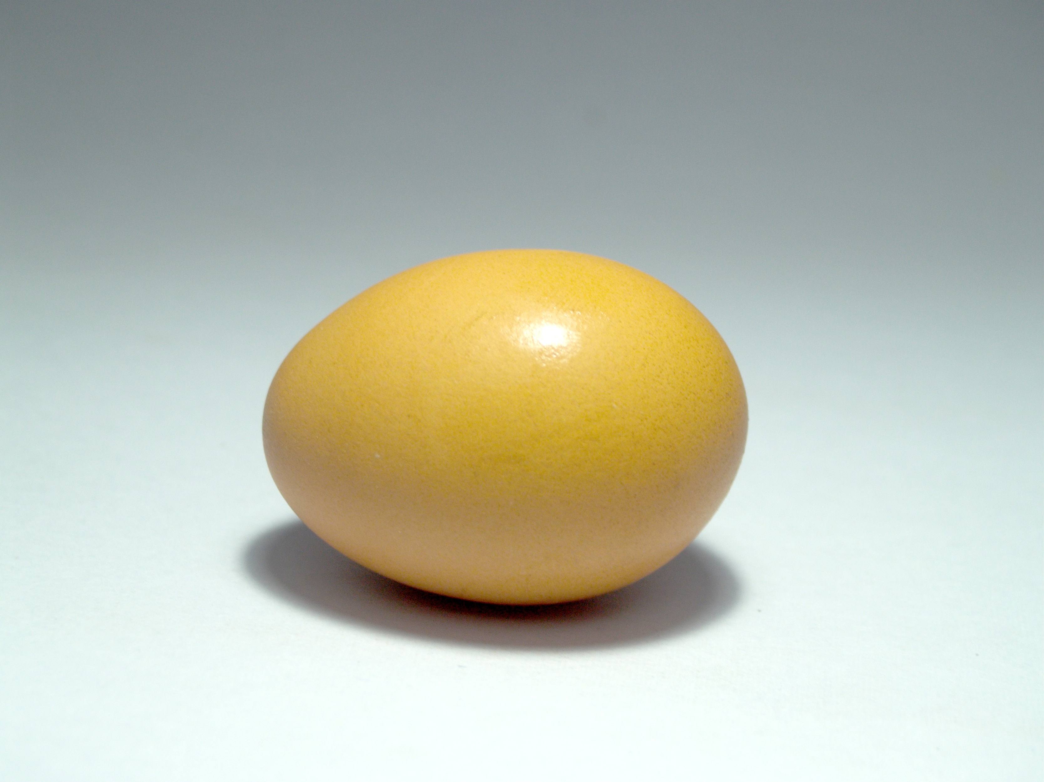 Yellow egg on a white surface free image download