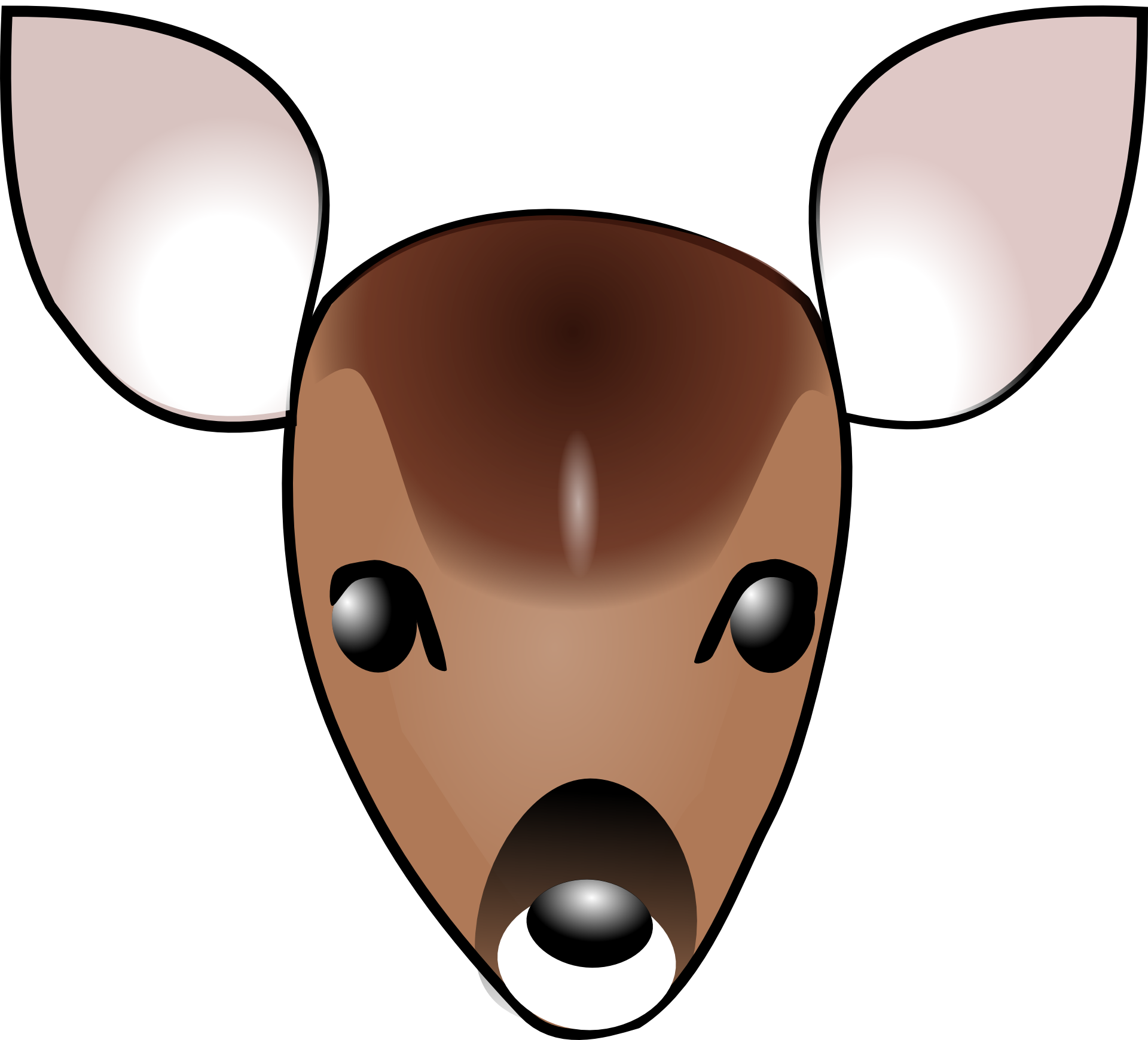 Deer Fawn Face drawing free image download