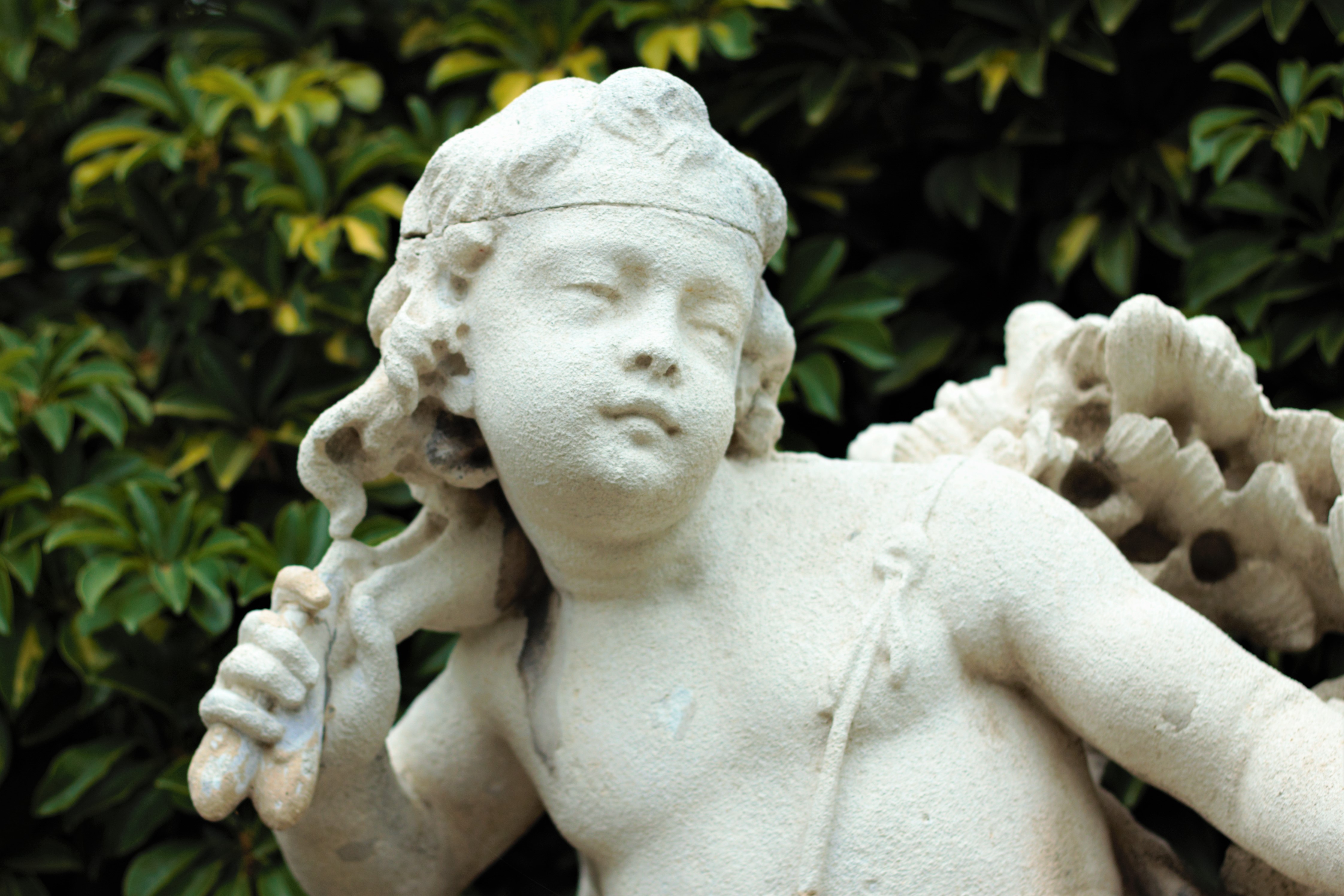 White statue in the park close-up free image download