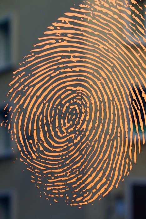 Bright orange fingerprint free image download
