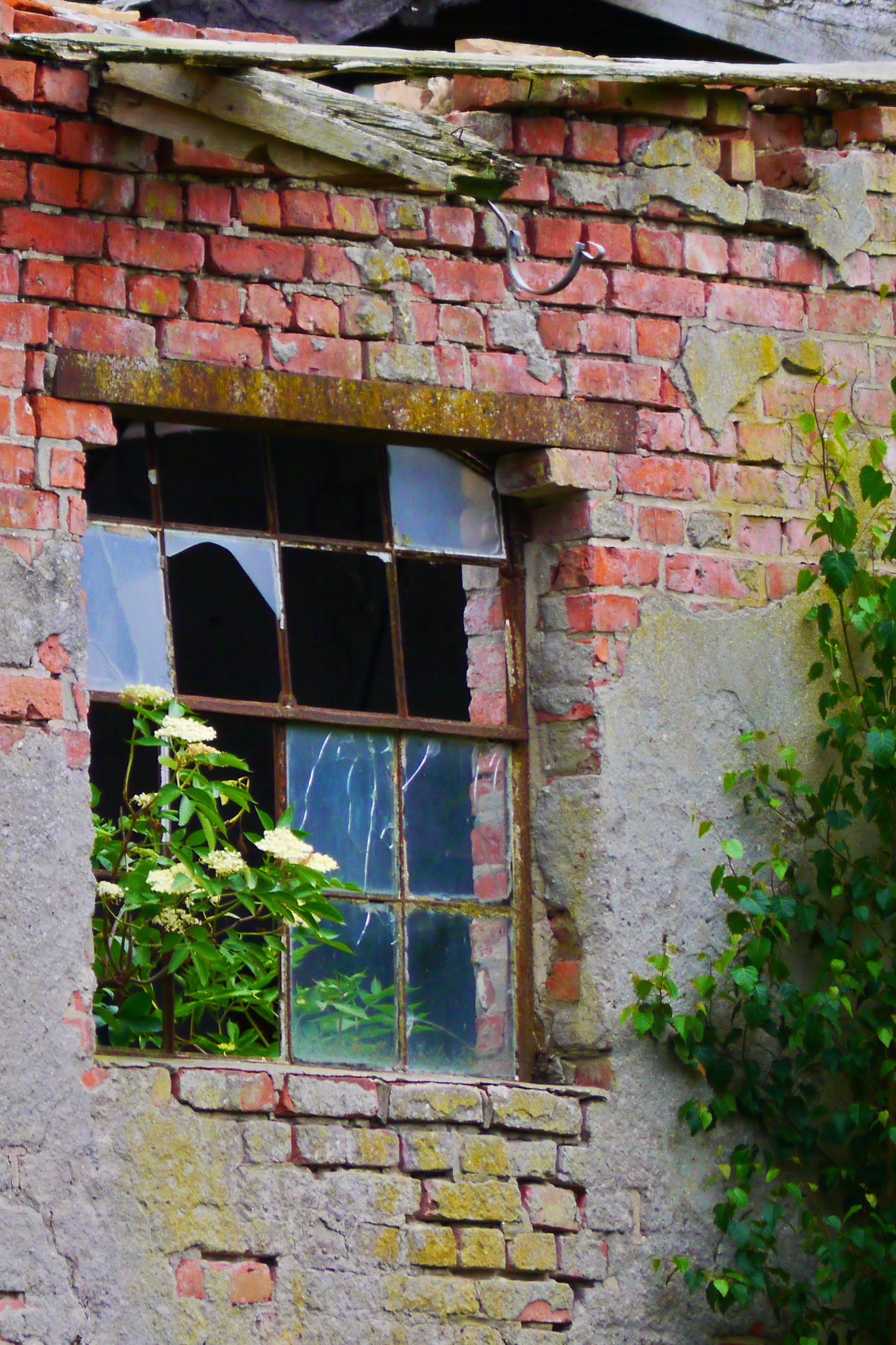 Broken window on the facade of an abandoned house free image download