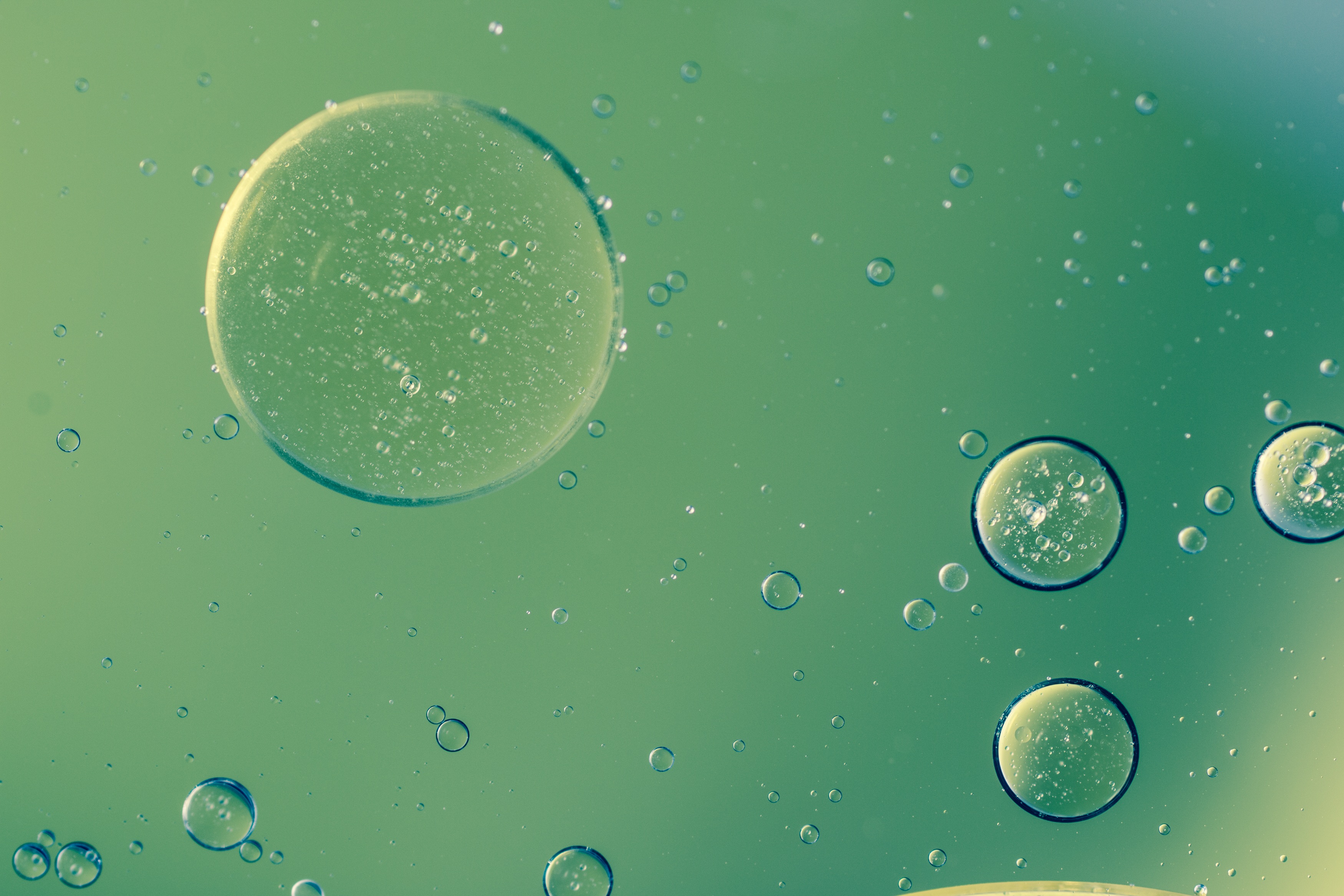 Oil in water close up free image download