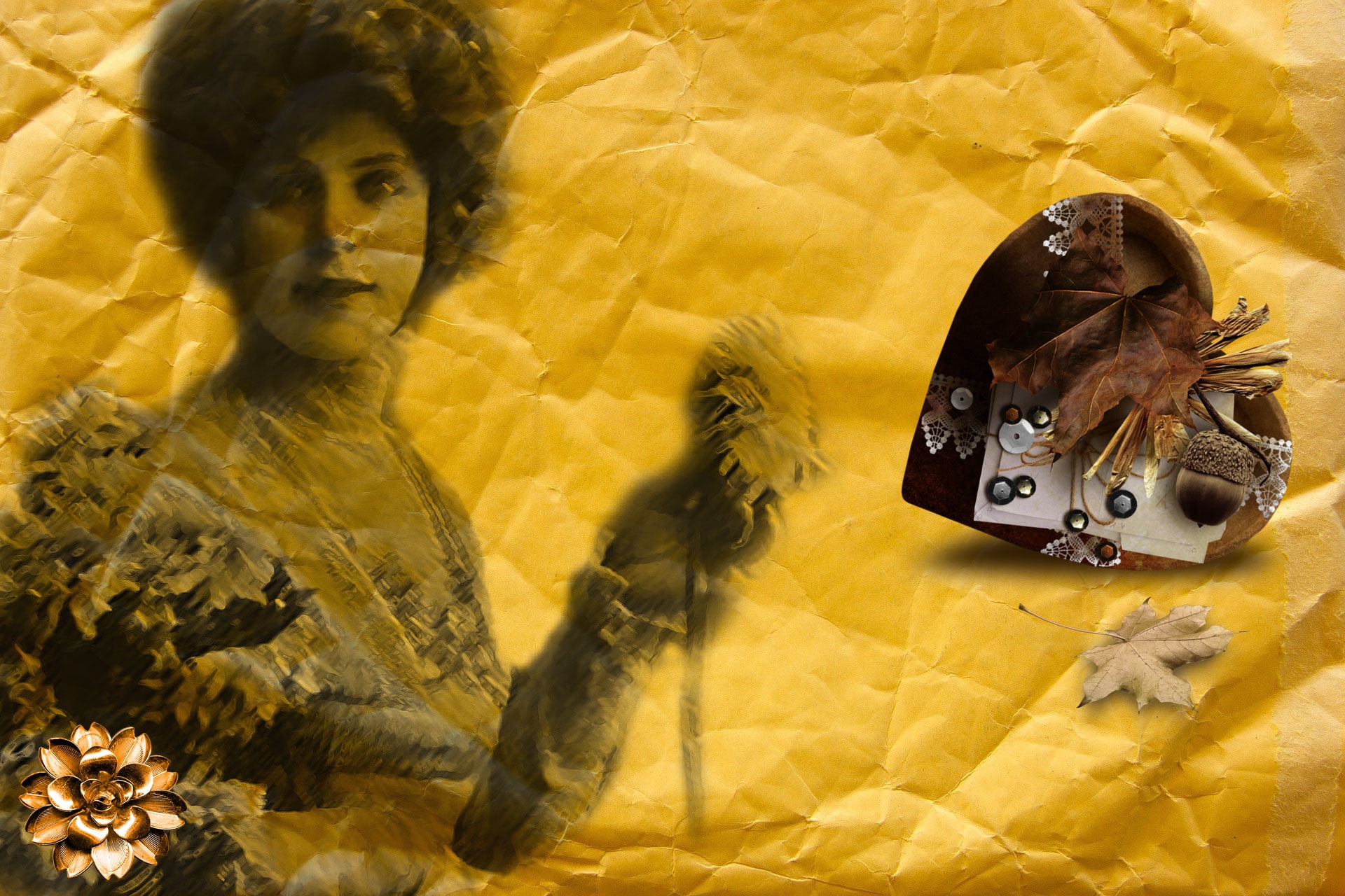 Lady Woman Female Girl Beauty free image download