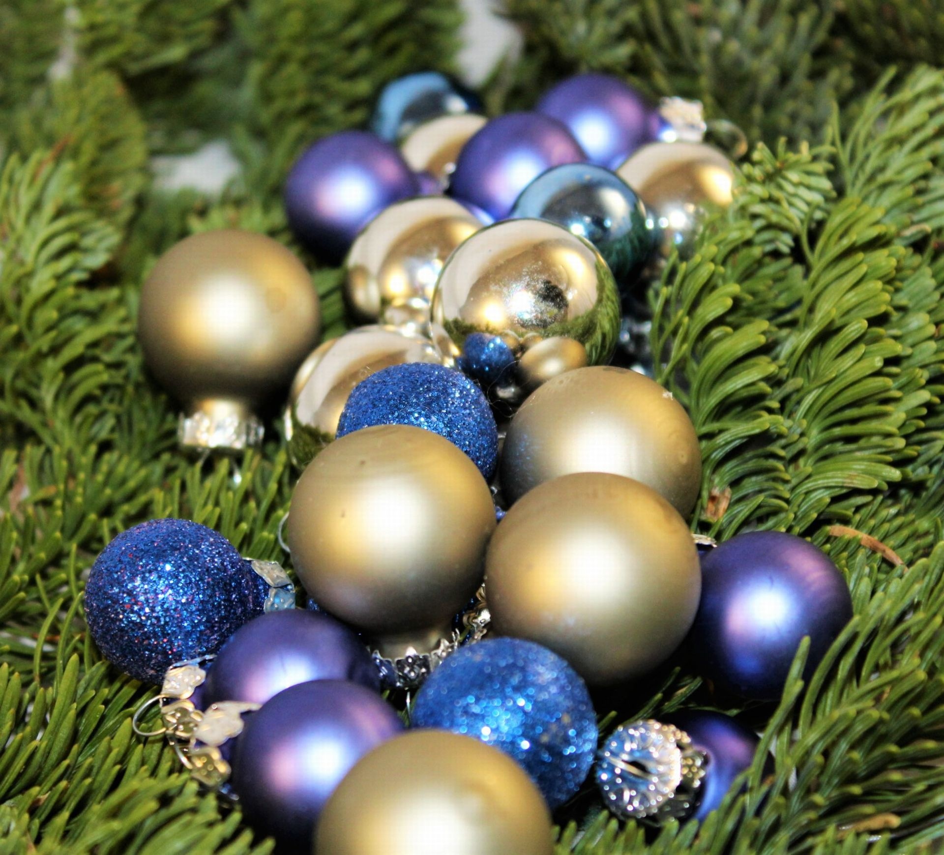 Christmas tree balls on the fir-tree free image download