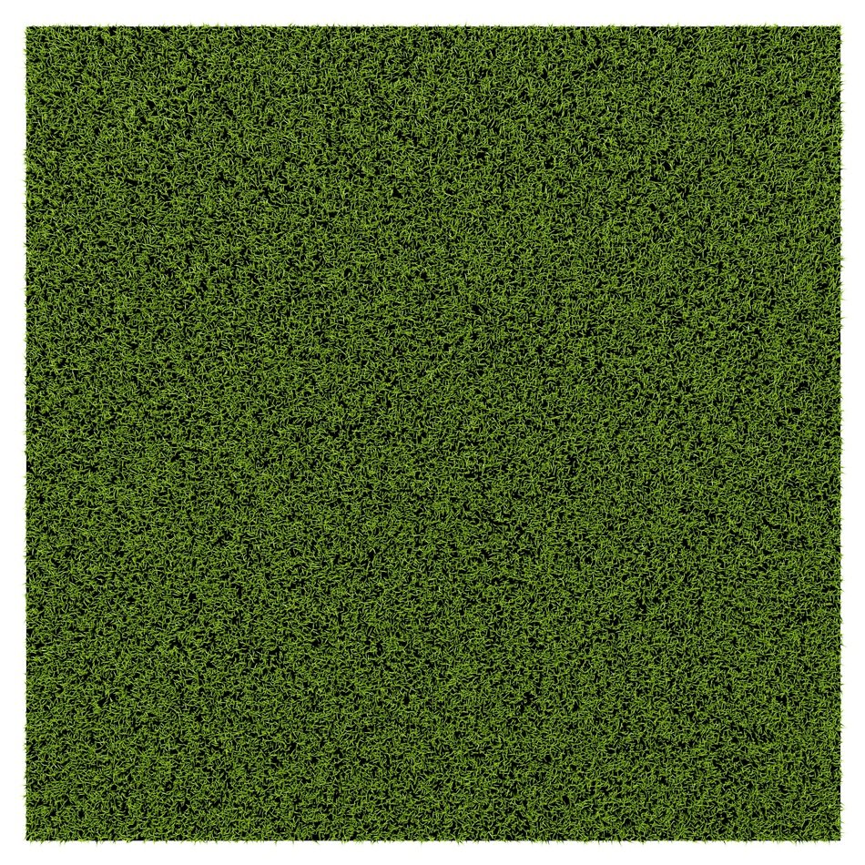 Grass Carpet Texture Structure free image download
