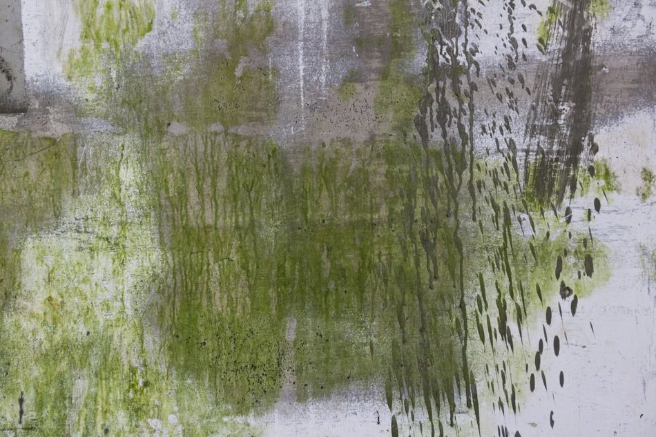 Texture Rock Wall Grunge free image download