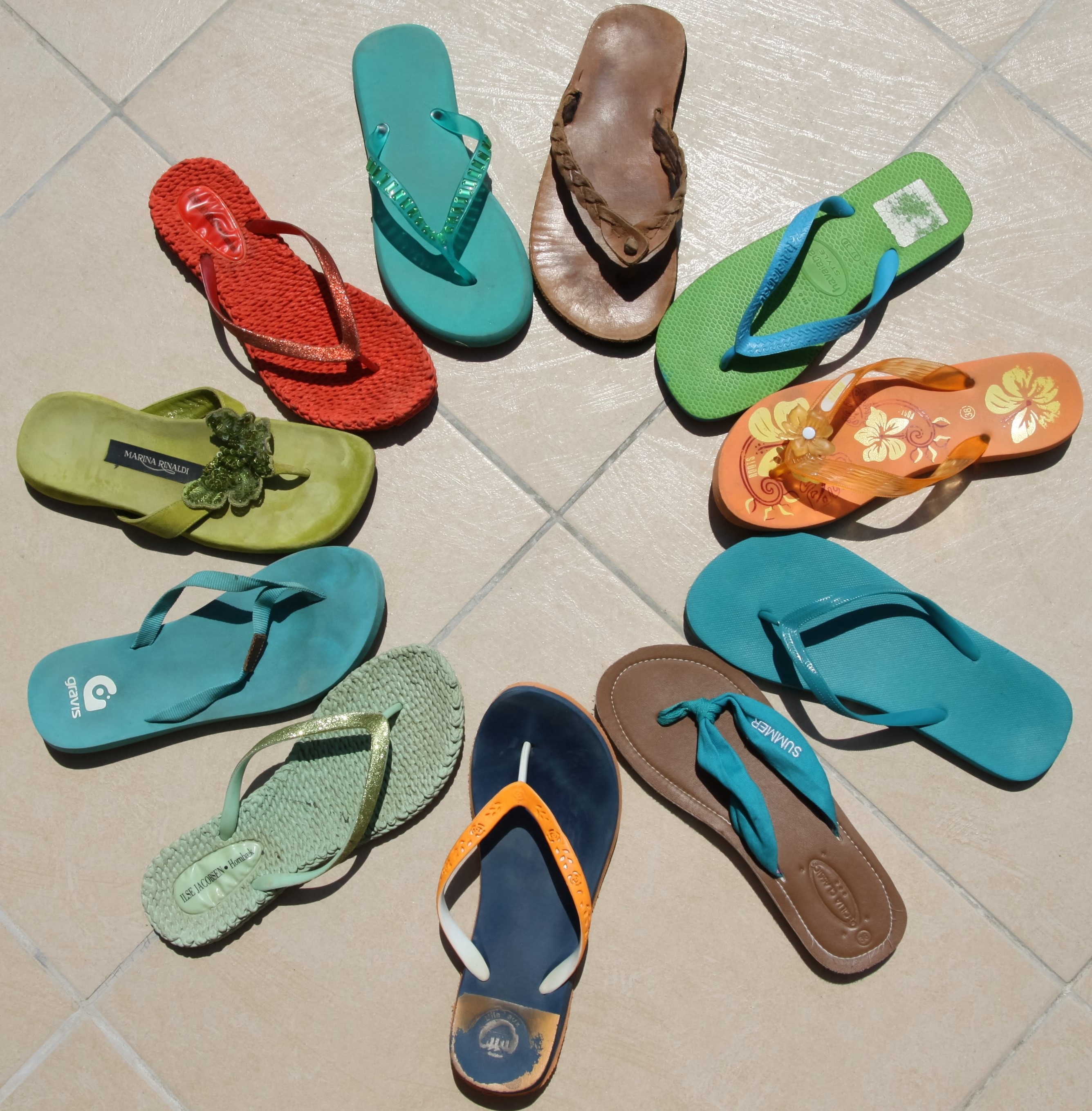 Multi Colored Flops free image download