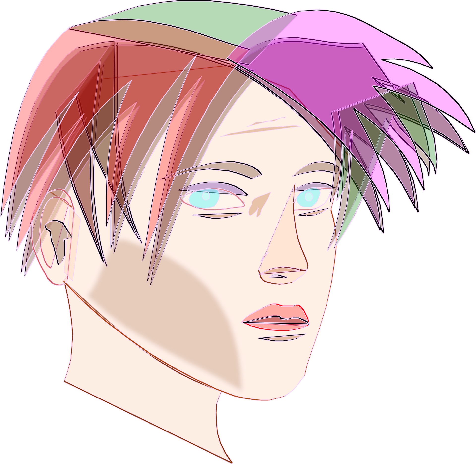 Drawing of head with colorful hair free image download