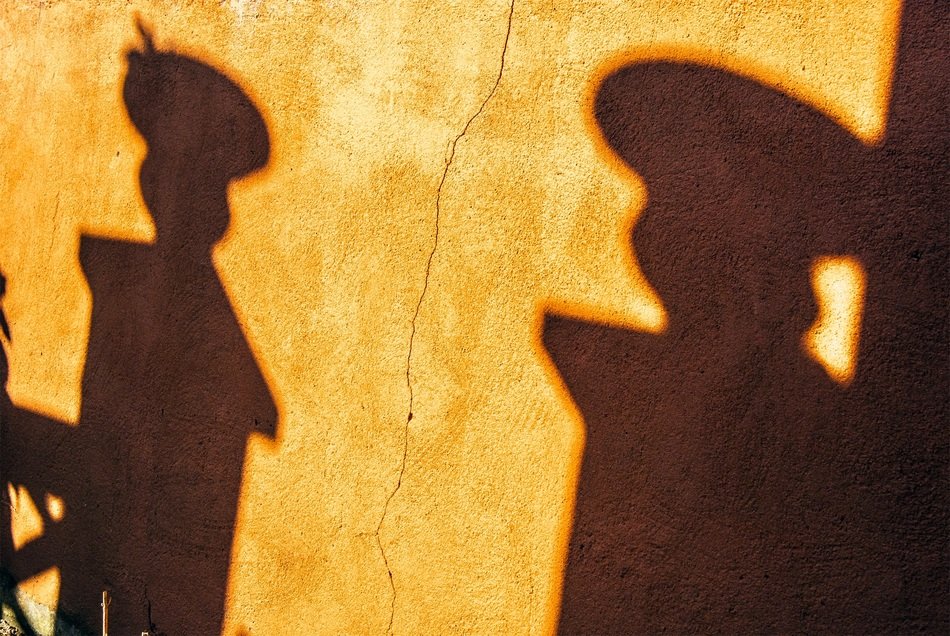 Shadows Nature Backlight free image download