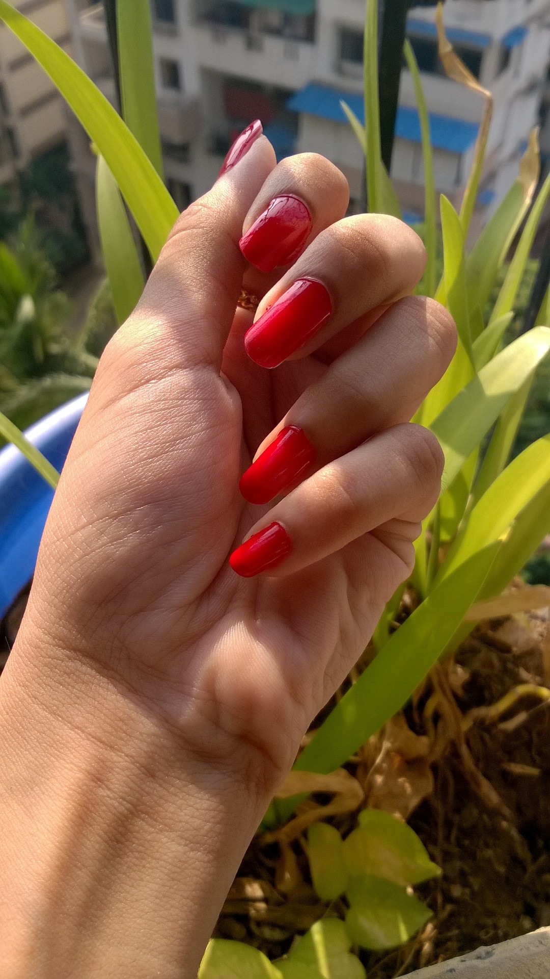 Red manicure free image download