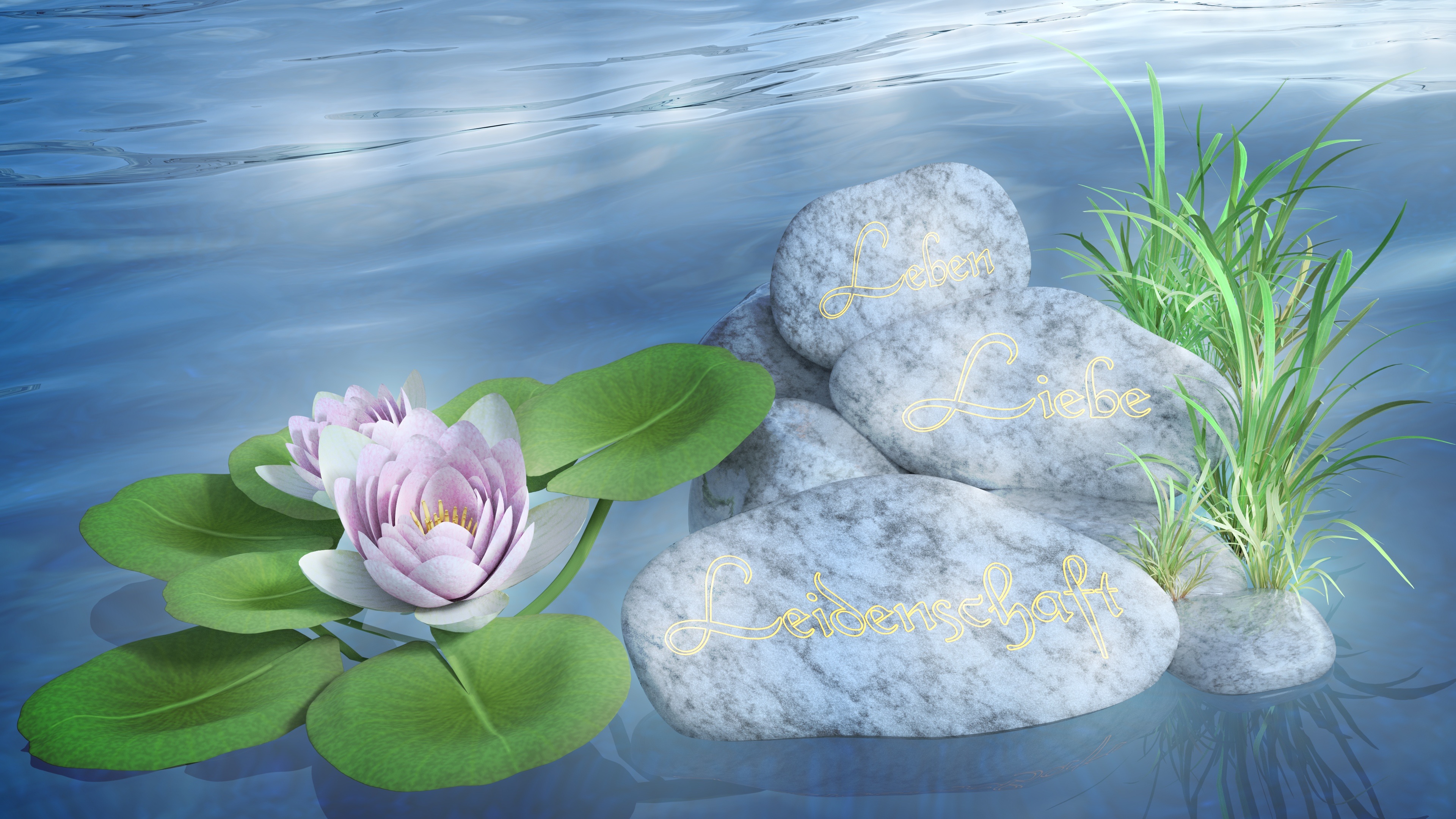 Water Lily Stones free image download