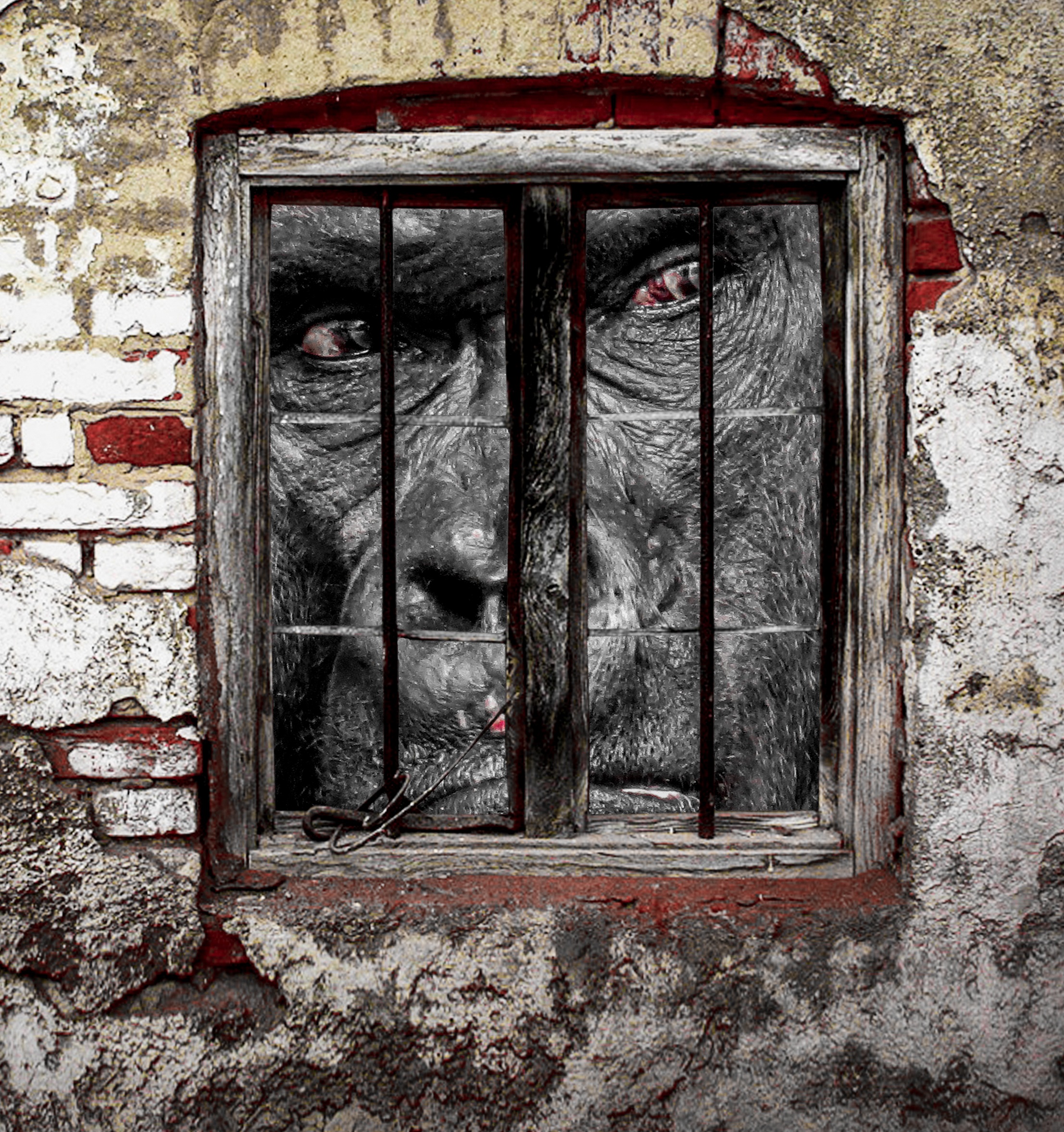 Gorilla face behind grates in window, collage free image download