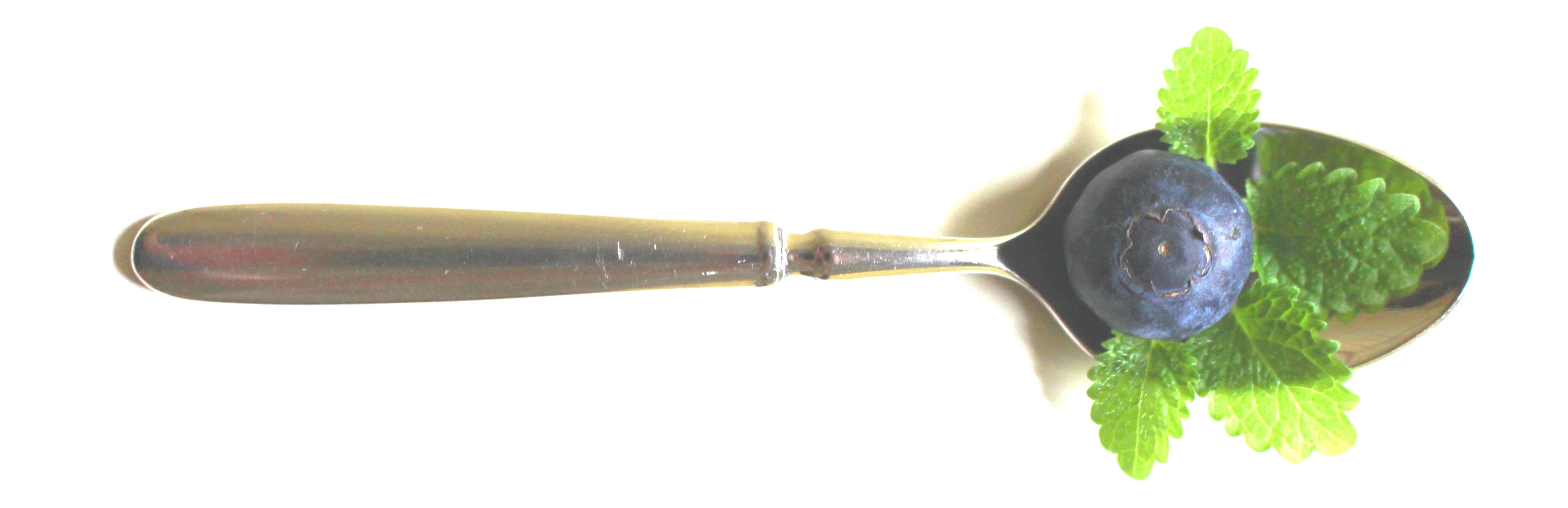 Teaspoon with healthy blueberry and mint free image download