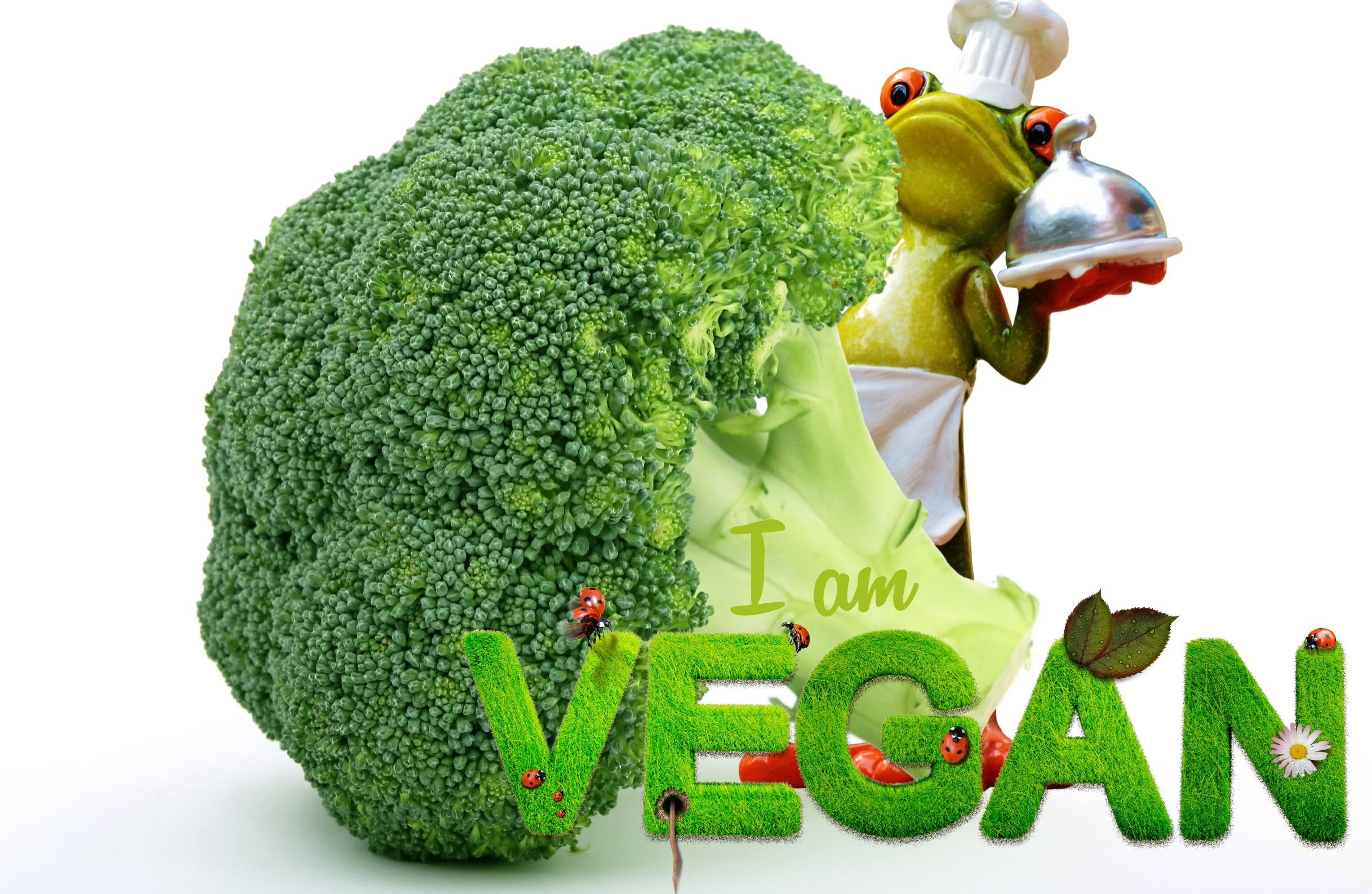 Broccoli and ceramic frog vegan free image download