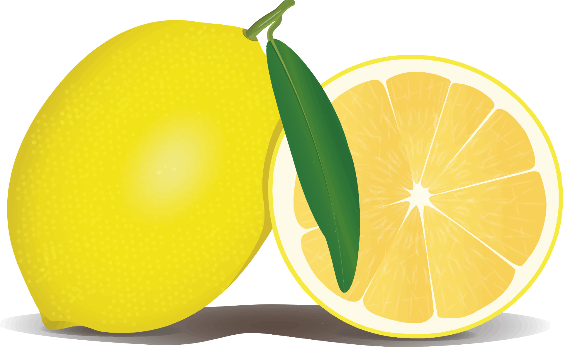 Citrus drawing free image download