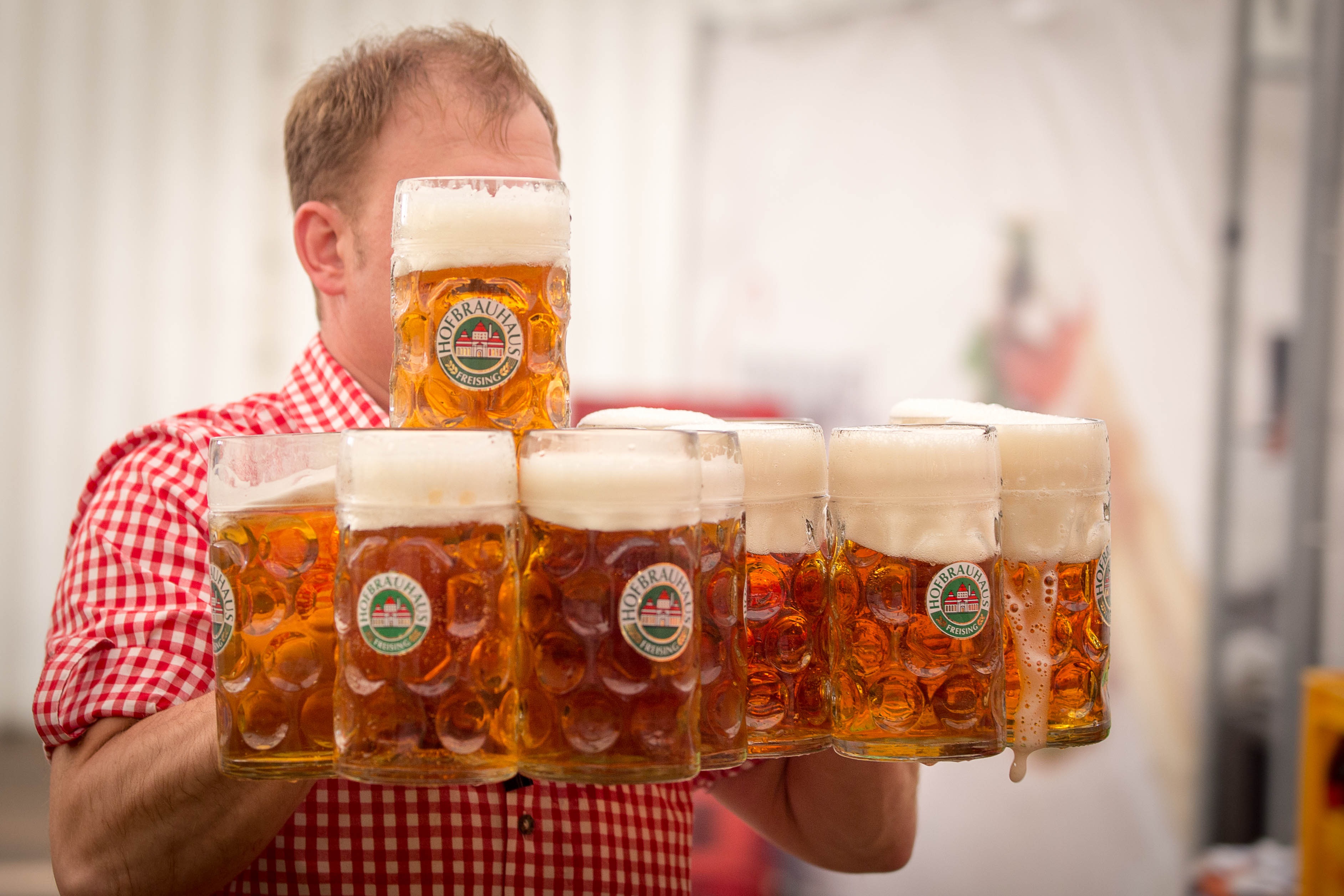 Bavarian beer for the national holiday free image download