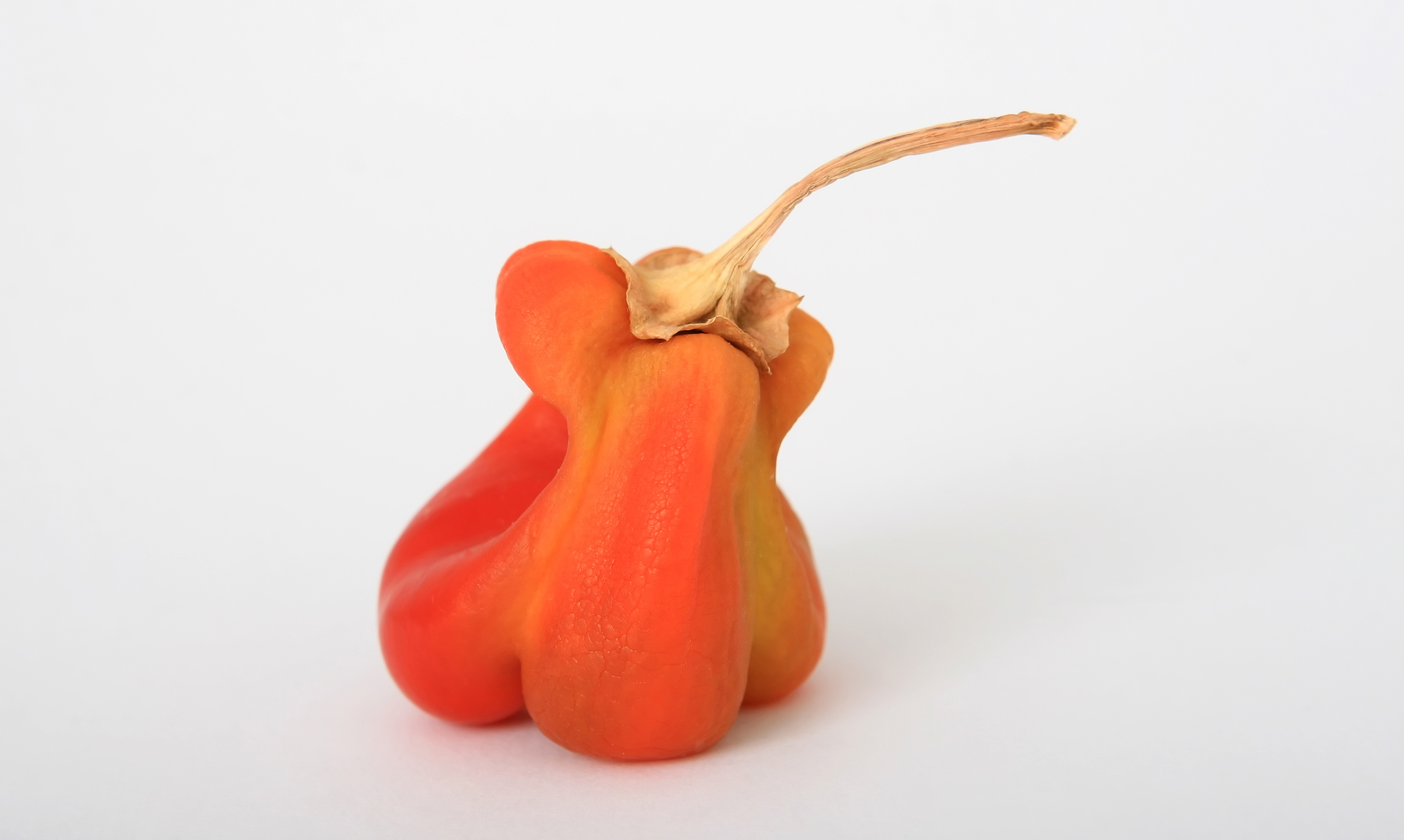 Isolated orange pepper free image download