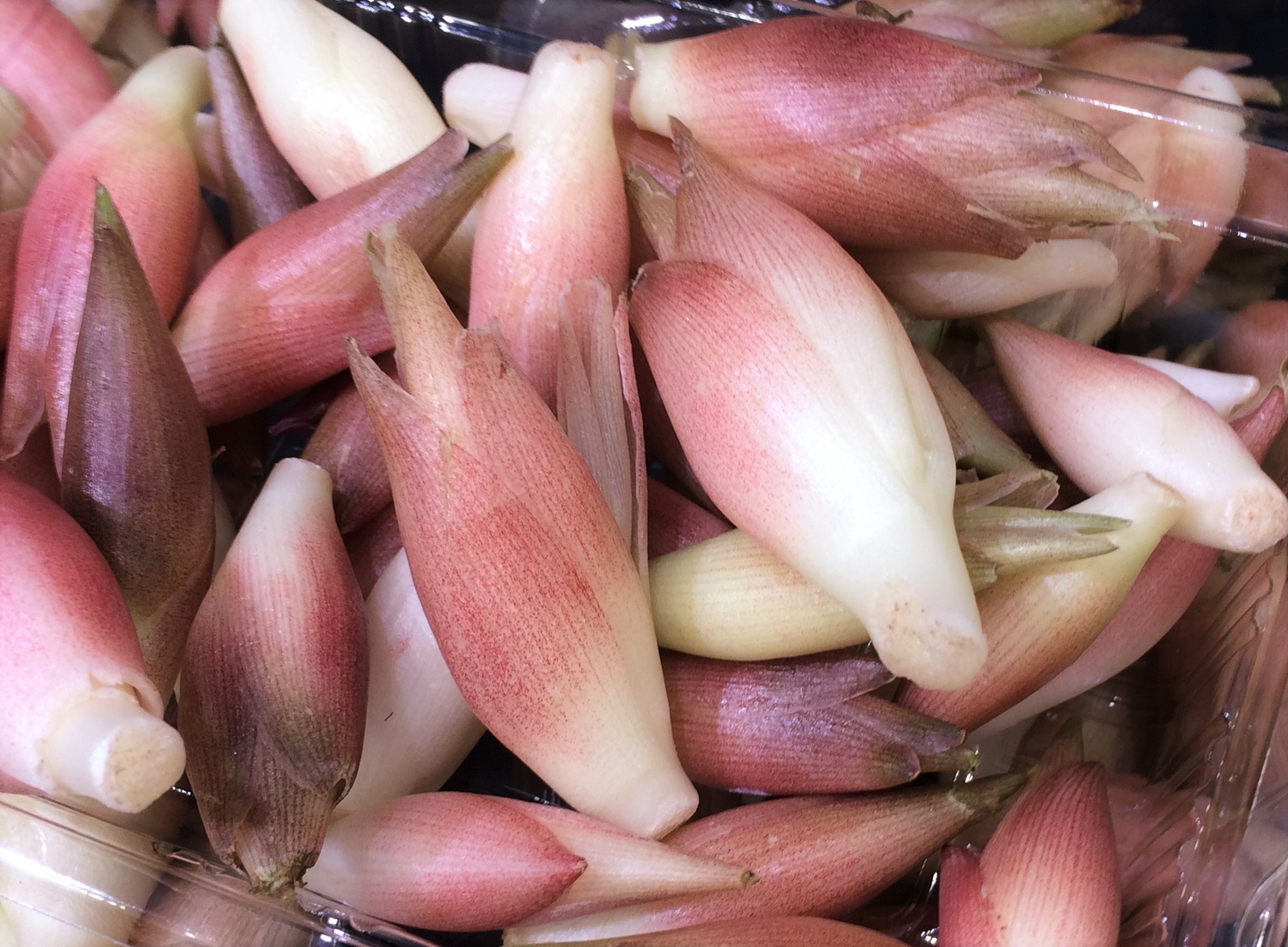 Mioga Ginger free image download