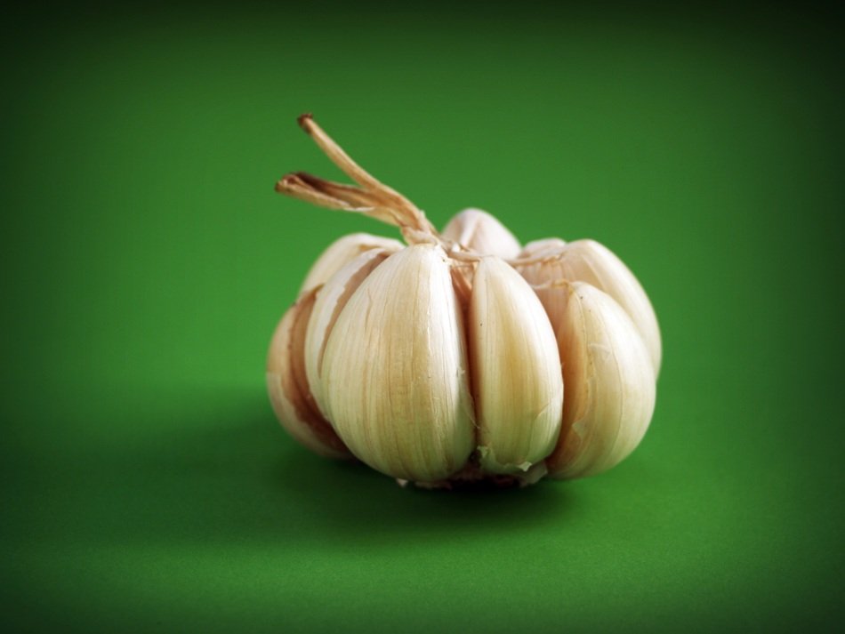 Garlic bulb on green desk free image download