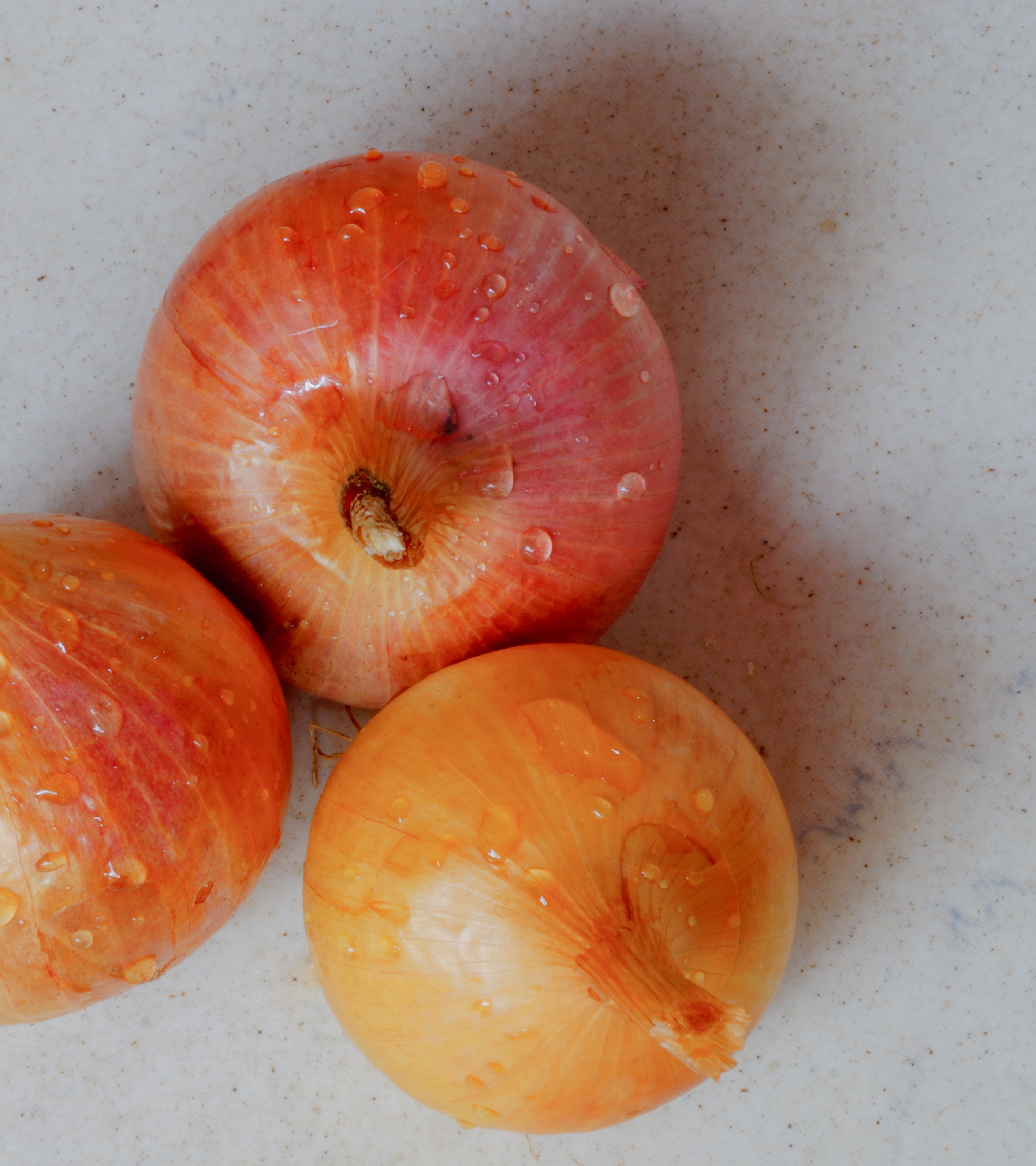 Onions Indian free image download