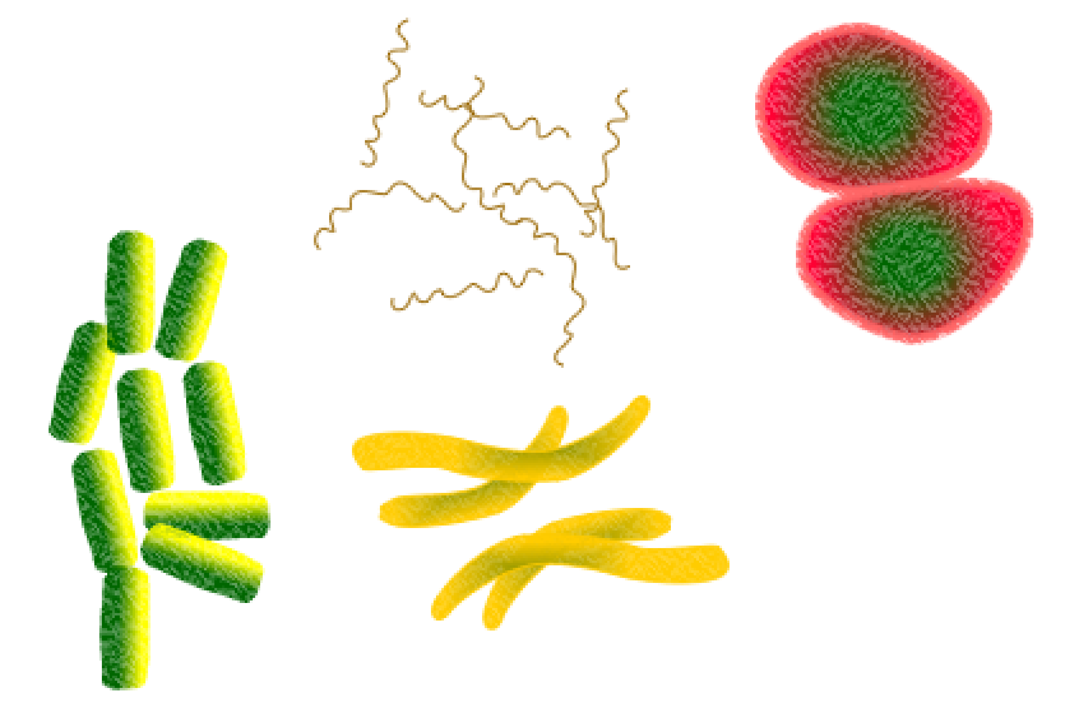 Bacteria Microbes Infection drawing free image download
