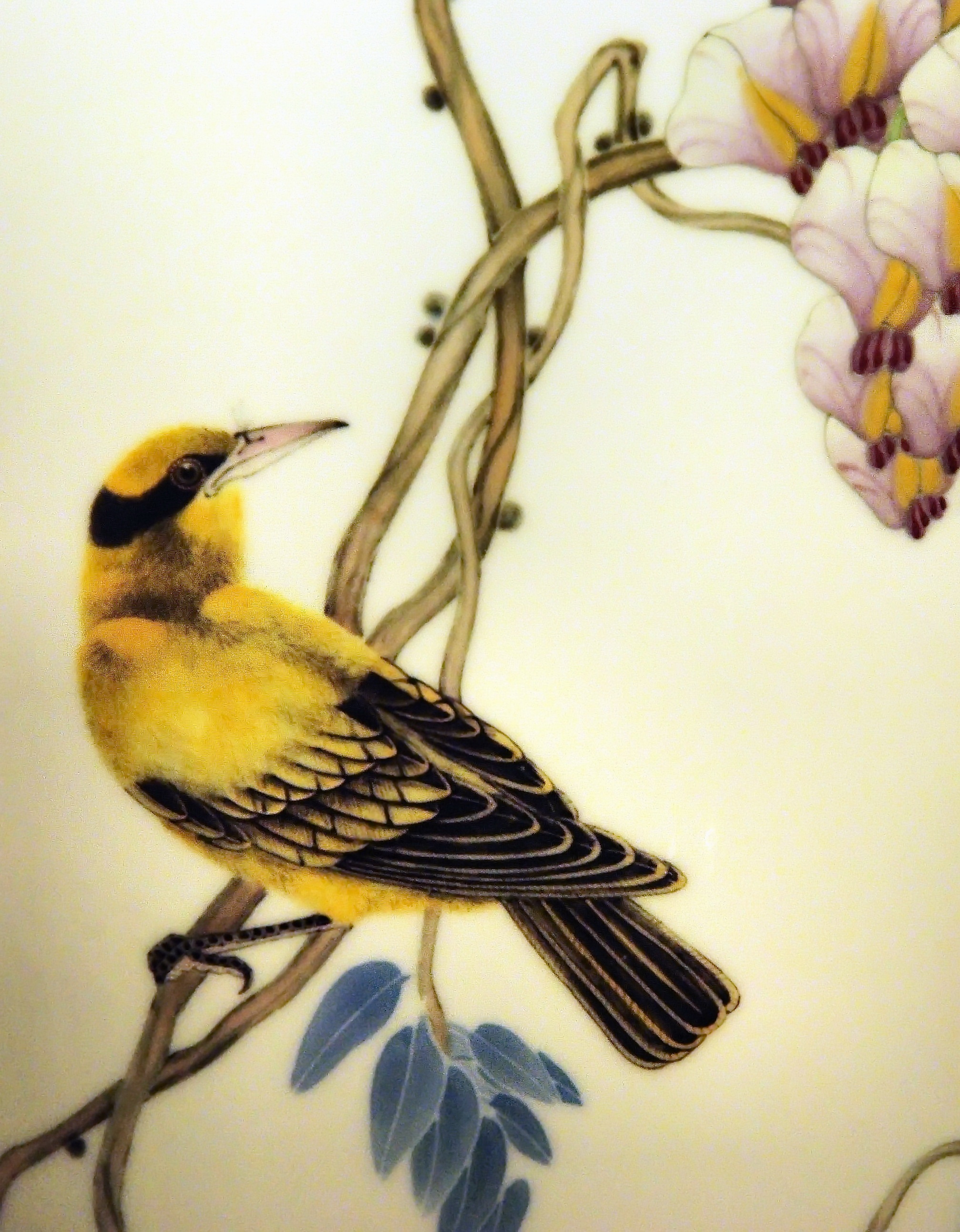 Bird on vine, chinese drawing free image download