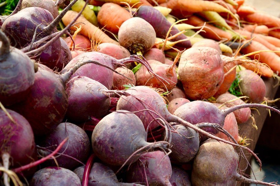 Root vegetables at the farmers market free image download