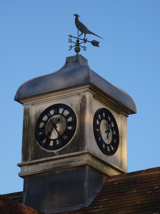 Weather vane on the clock tower free image download