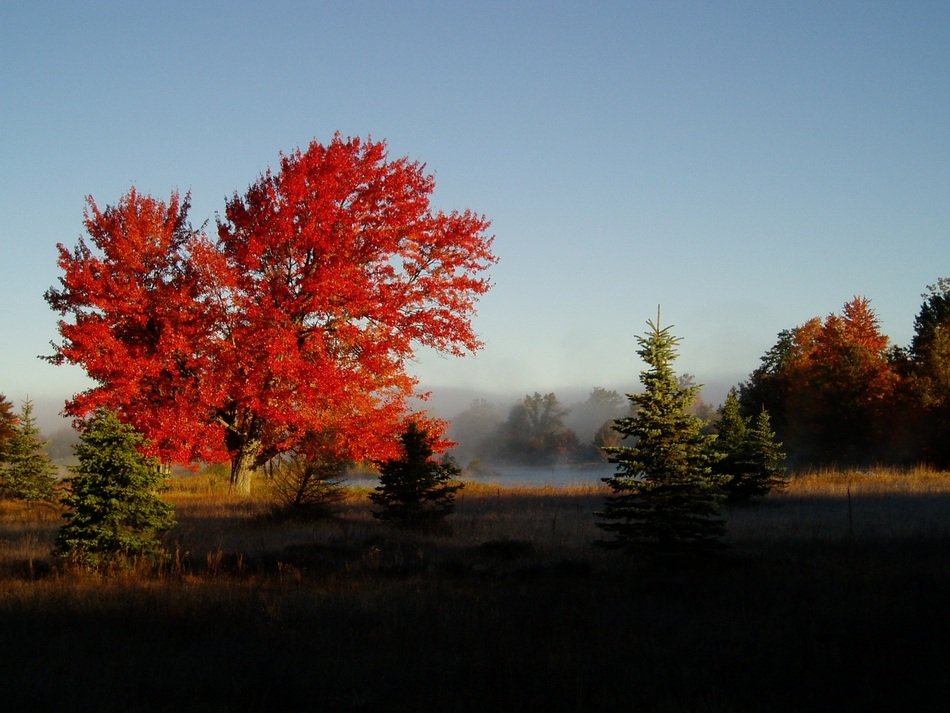 Beautiful colors of the beautiful autumn free image download