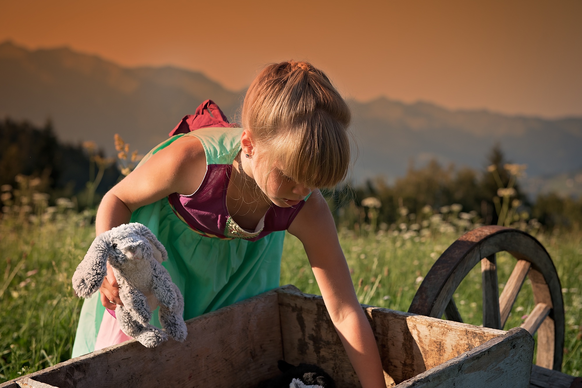 Girl Playing With Wheelbarrow Free Image Download