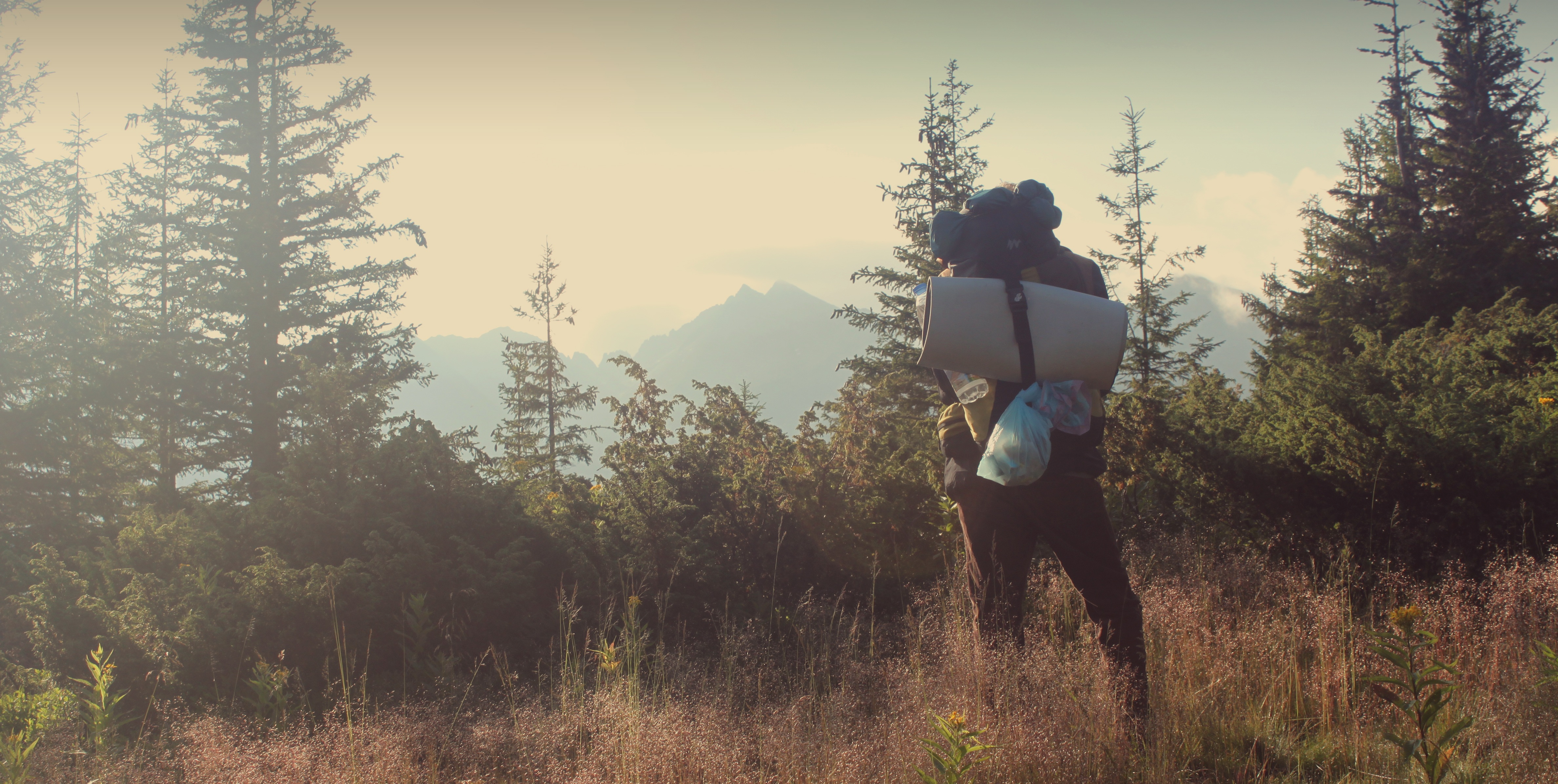 Nature Outside free image download